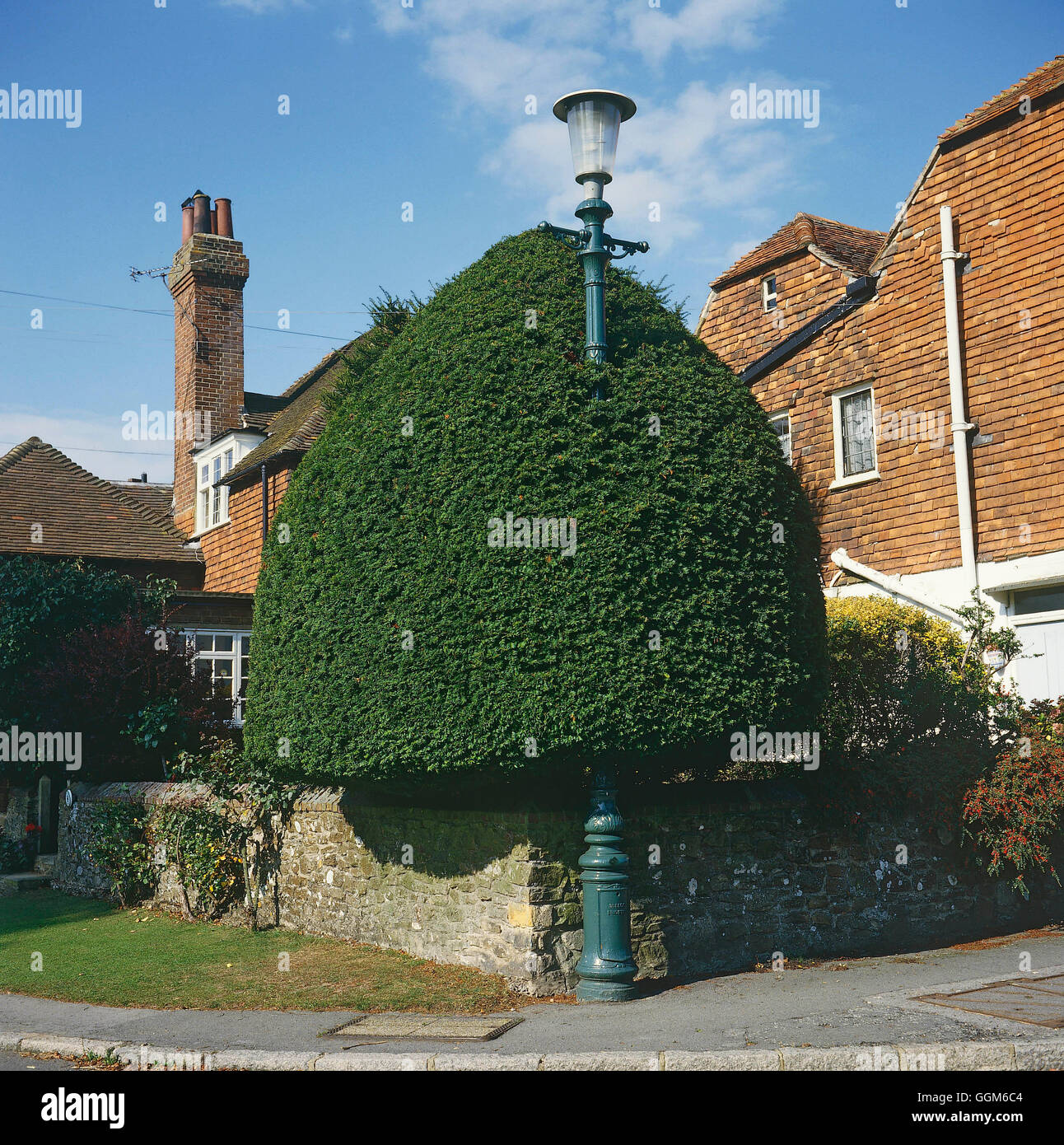 Topiary - around lamp post TOP081645 Stock Photo - Alamy