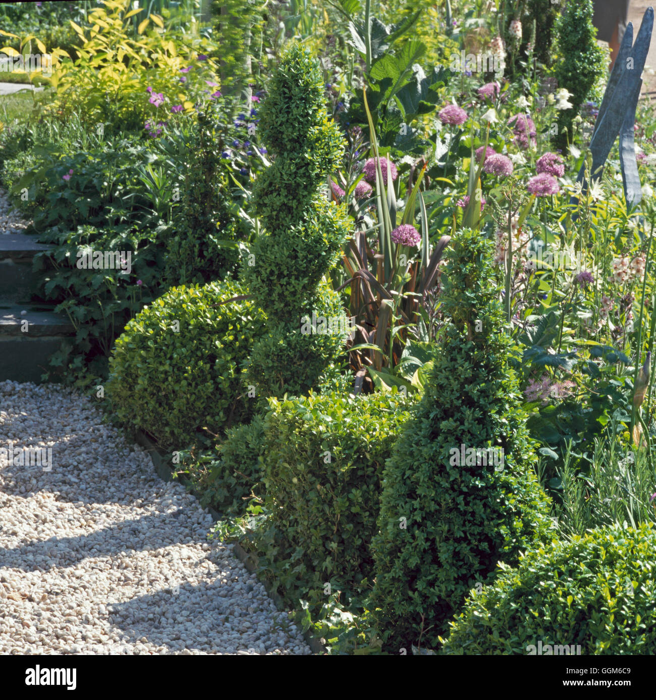 Box topiary cone hi-res stock photography and images - Alamy