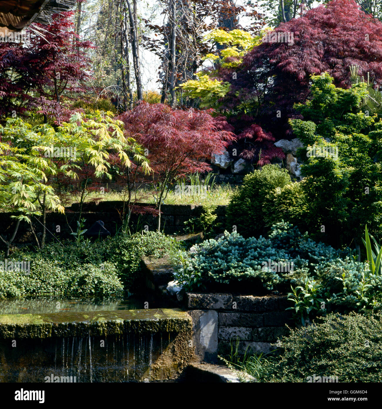 Predominating hi-res stock photography and images - Alamy