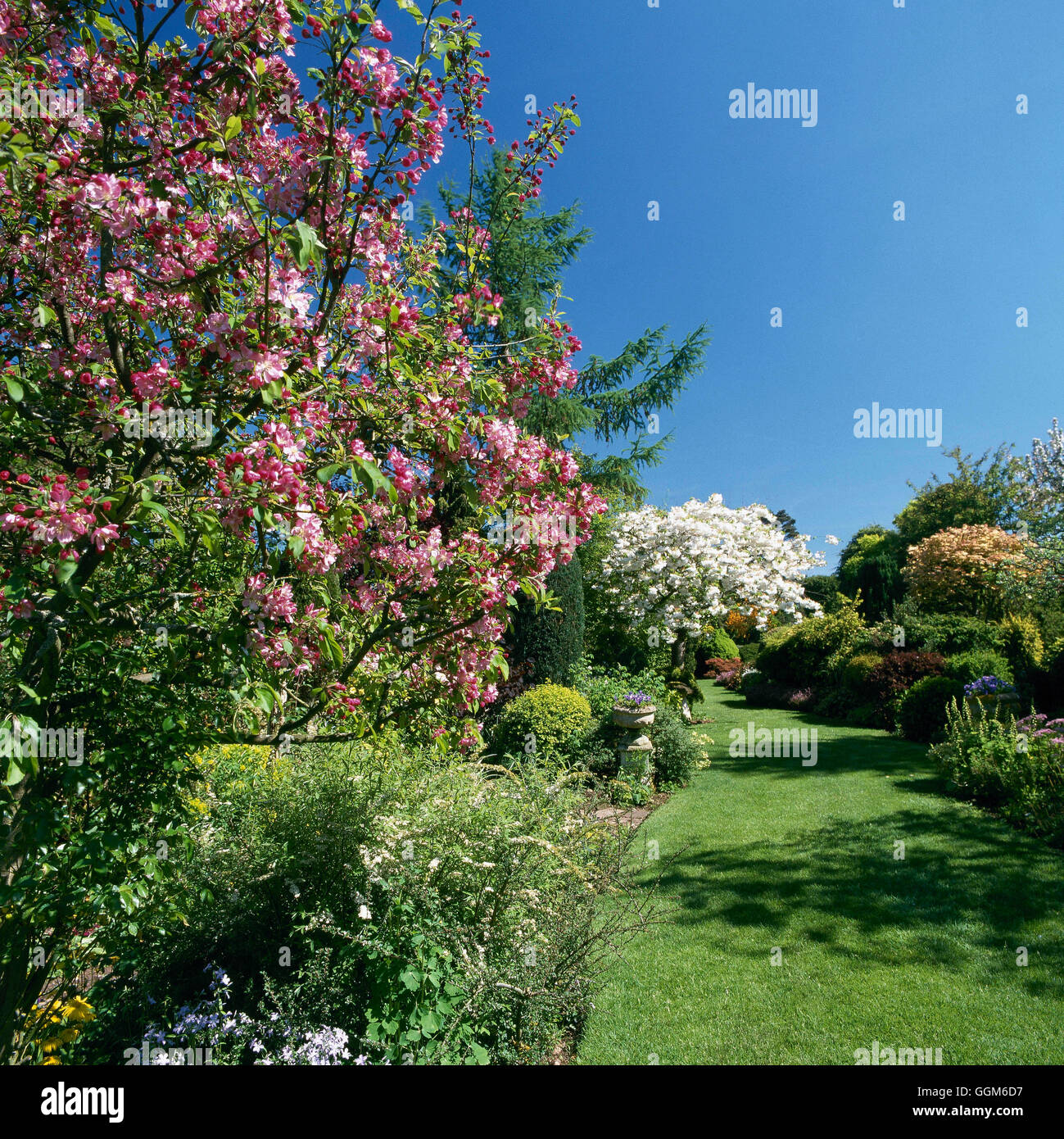 Treegarden hi-res stock photography and images - Alamy