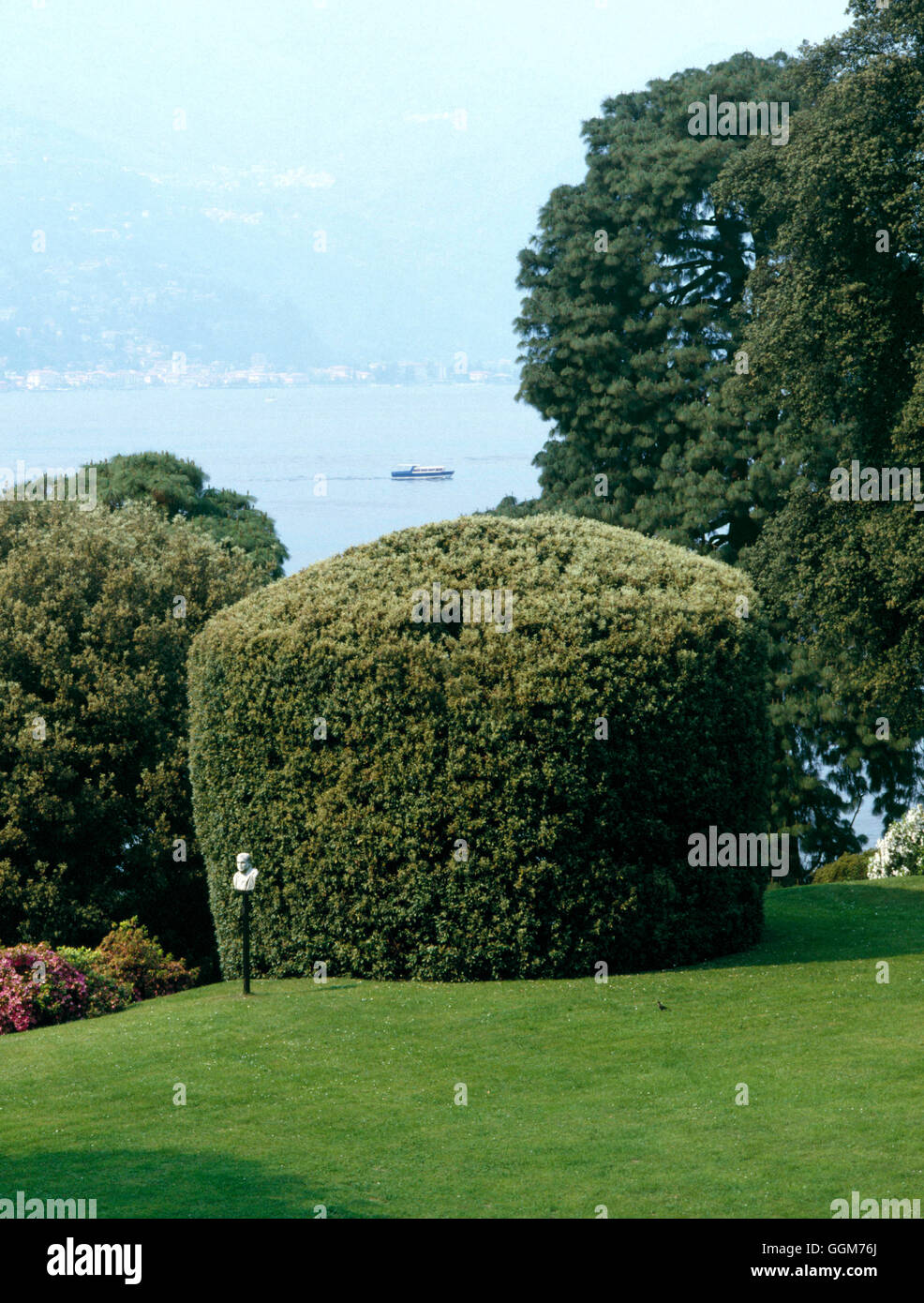 Quercus ilex italy hi-res stock photography and images - Alamy