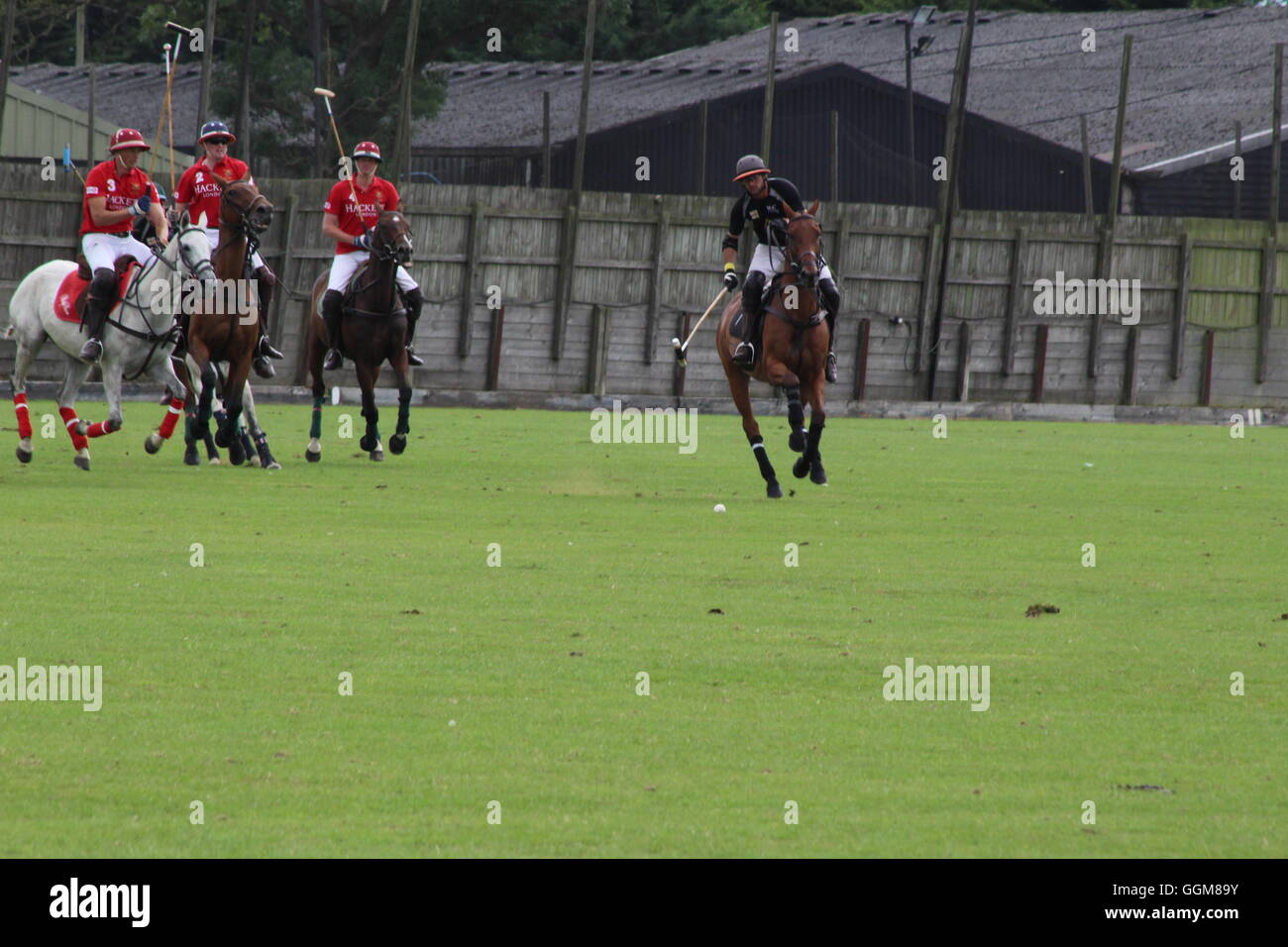 The Royal Windsor Race Course - Pictures Of Horses Stock Photo - Alamy