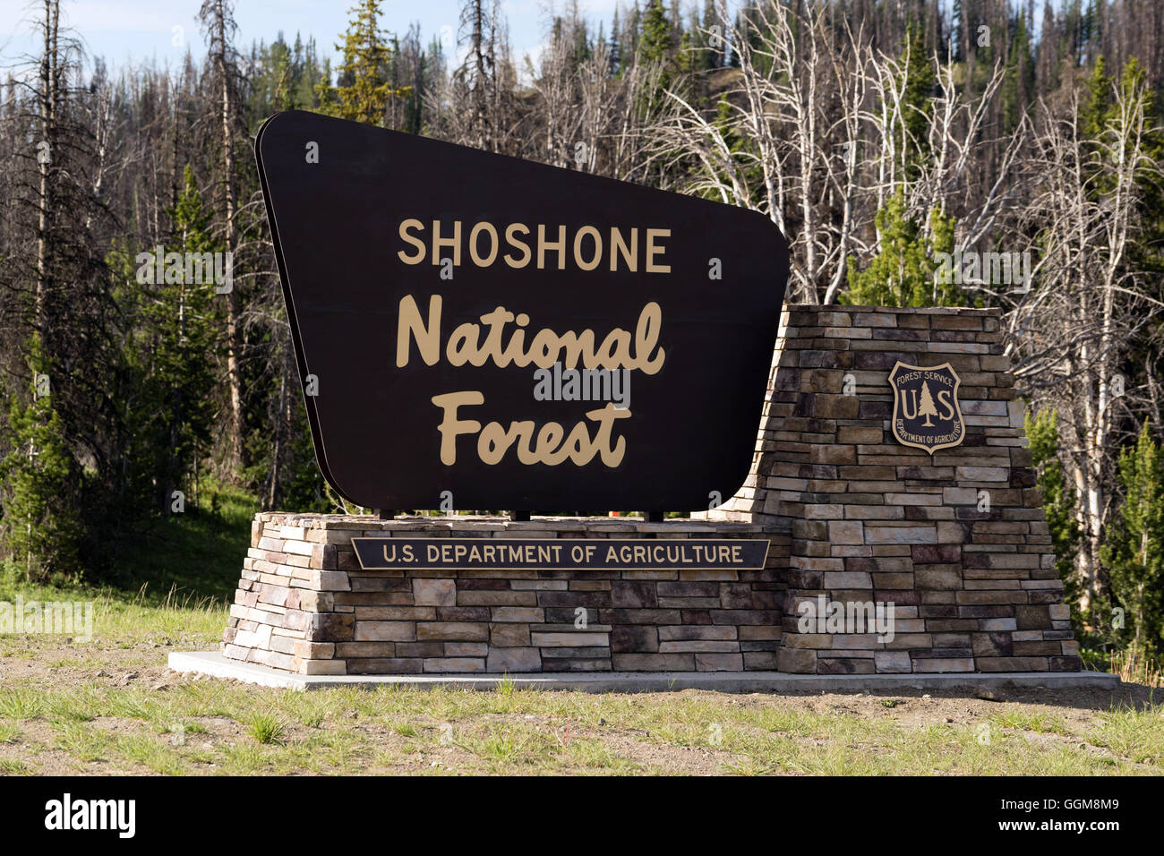Sign marking the boundary of the Shoshone National Forest Stock Photo ...