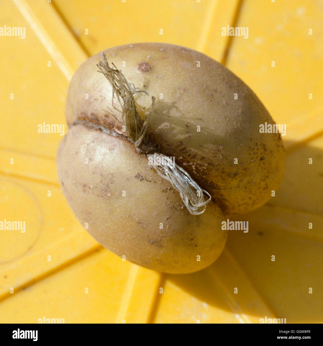 Unh063828 hi-res stock photography and images - Alamy