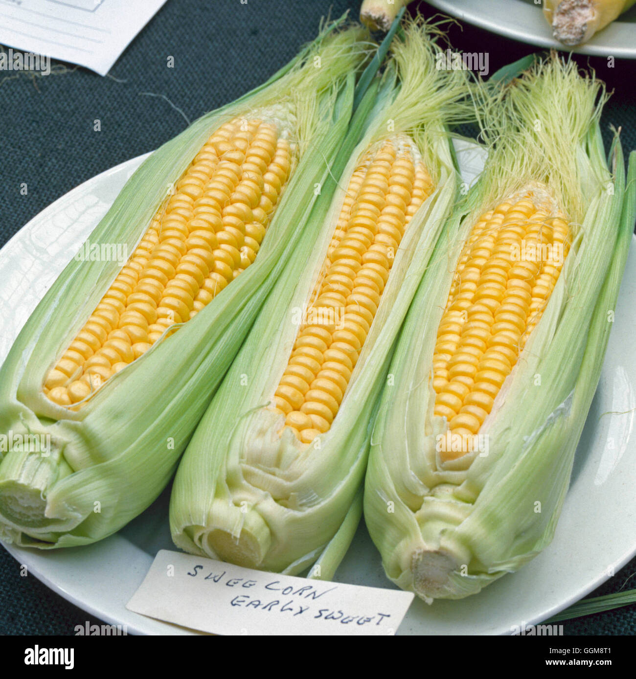 Earlysweet hi-res stock photography and images - Alamy