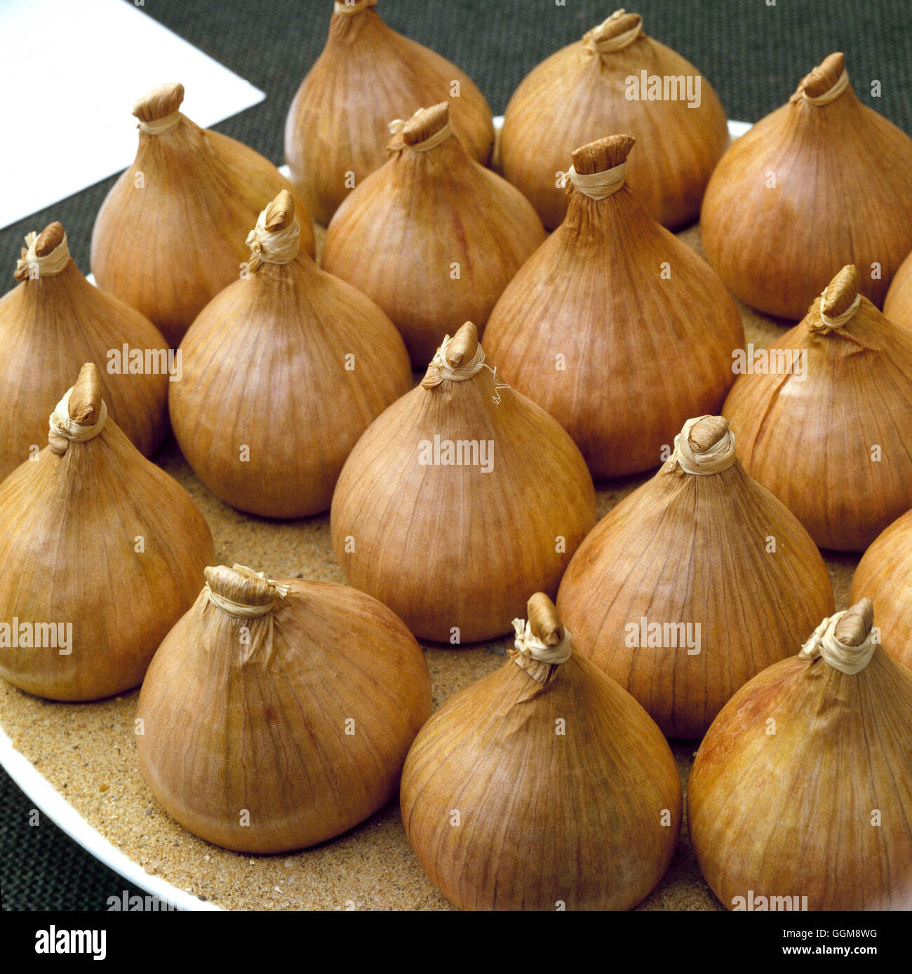 Exhibition displayed hi-res stock photography and images - Alamy