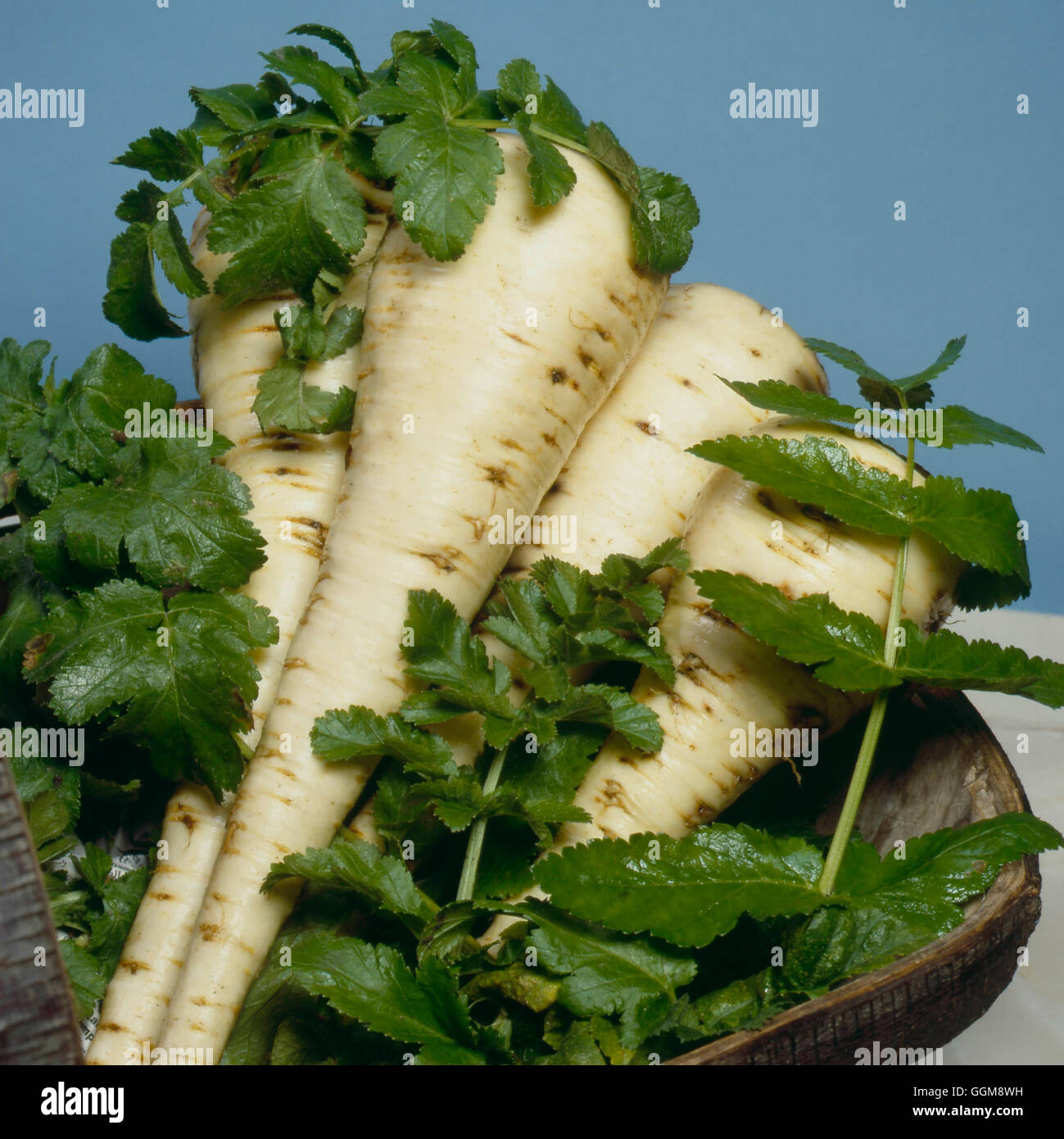 Parsnips Leaves
