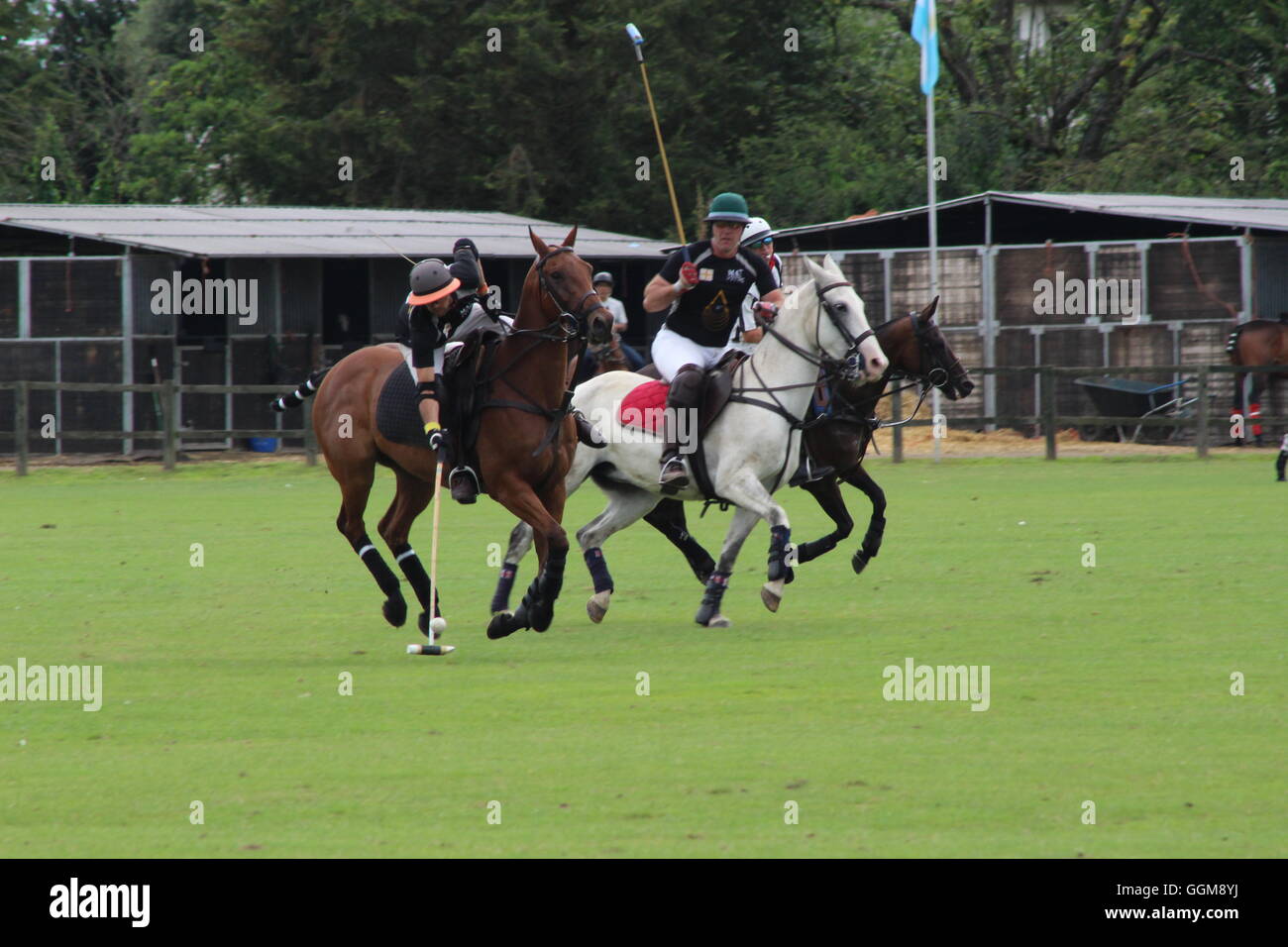 The Royal Windsor Race Course - Pictures Of Horses Stock Photo - Alamy