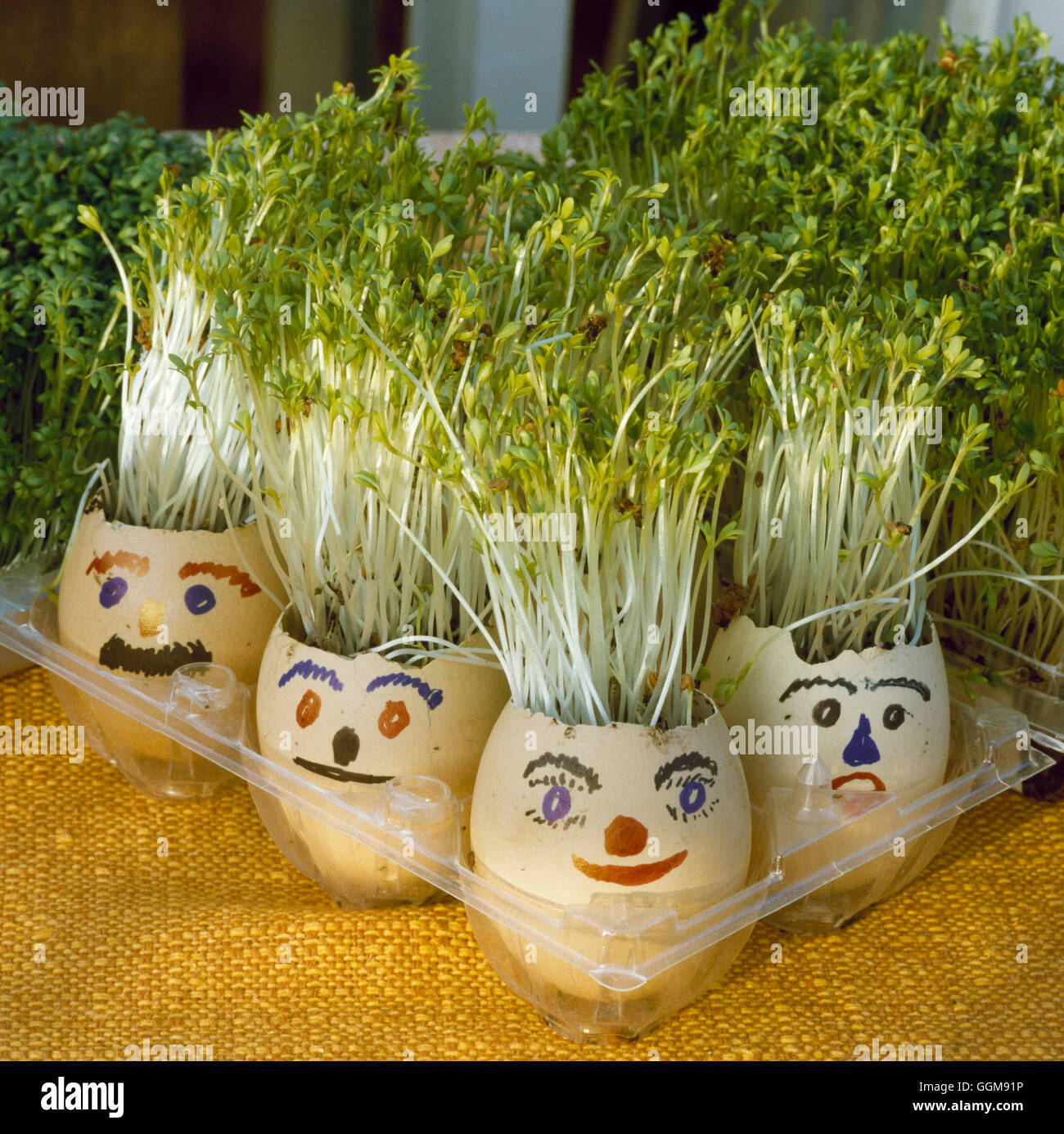 Cress egg shells hi-res stock photography and images - Alamy
