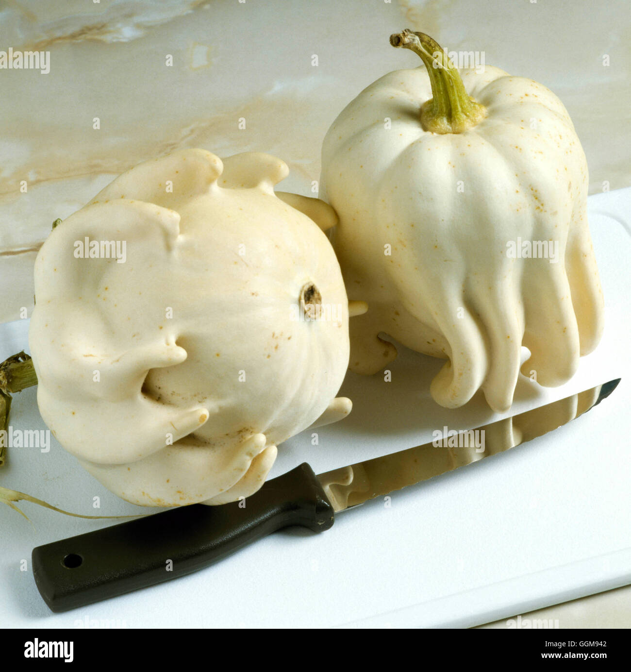 Crown of thorns gourd hi-res stock photography and images - Alamy