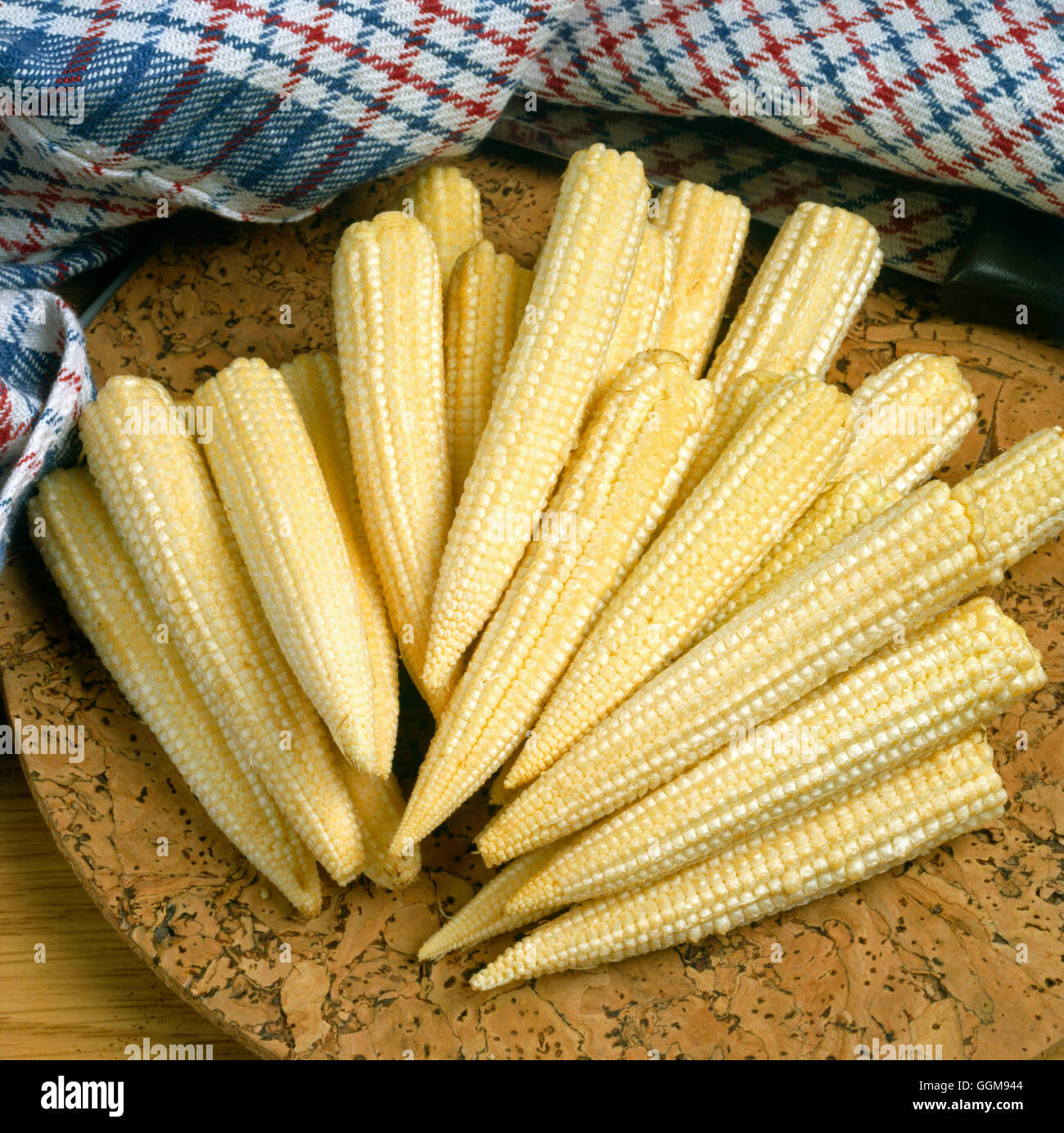 Minicorn hi-res stock photography and images - Alamy