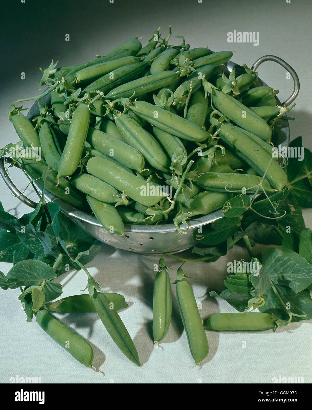 Little marvel hi-res stock photography and images - Alamy