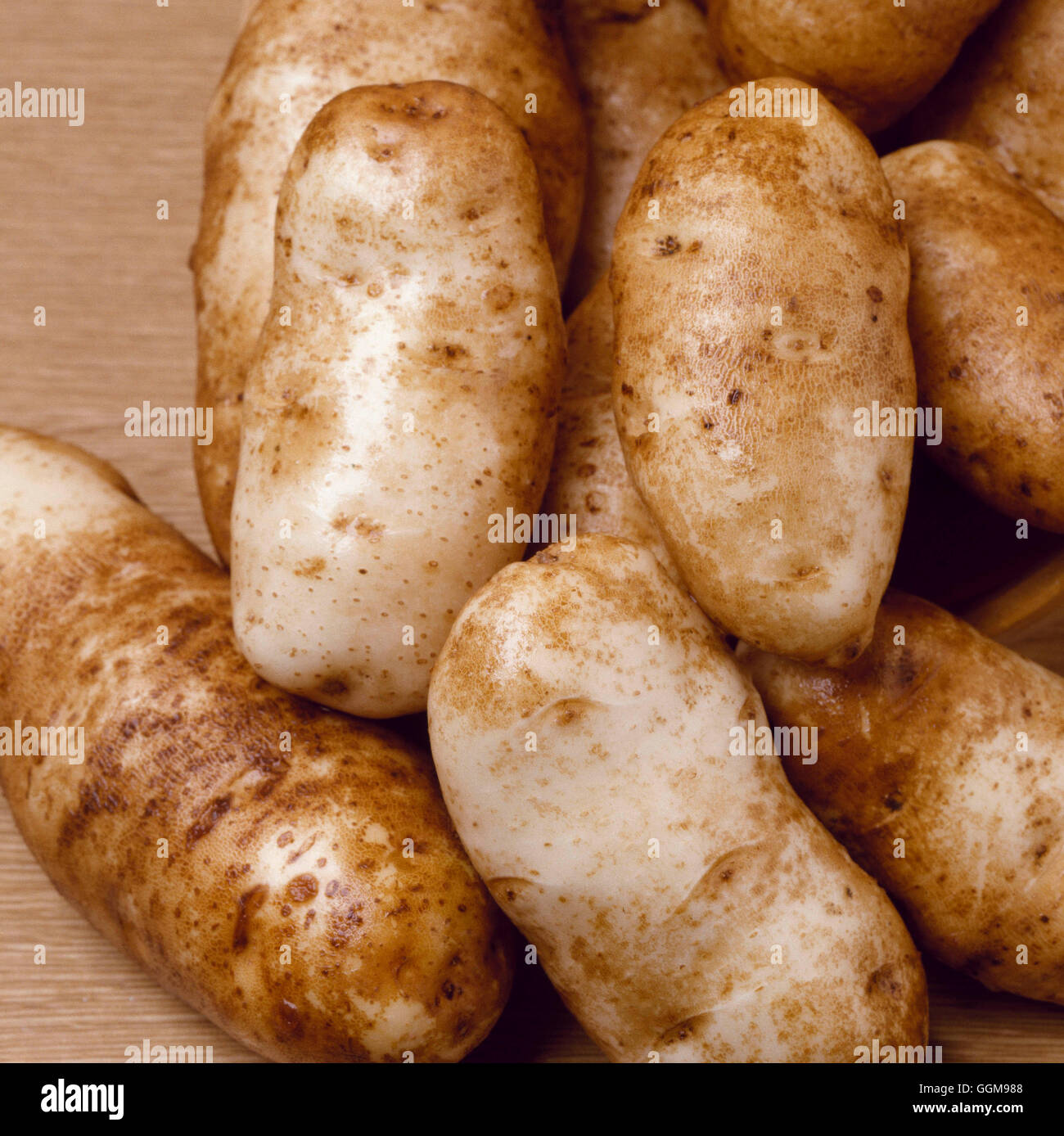 Russetburbank hi-res stock photography and images - Alamy