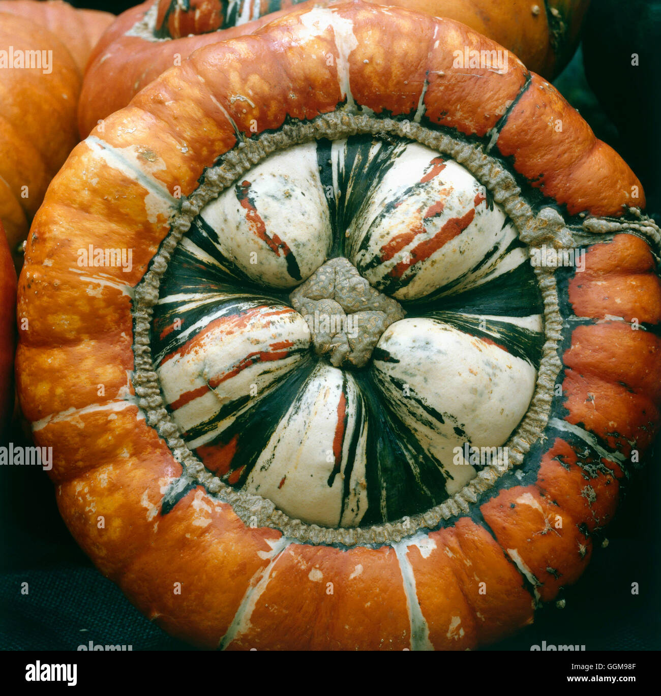 Squash - `Turk's Turban' VEG080464 Stock Photo - Alamy