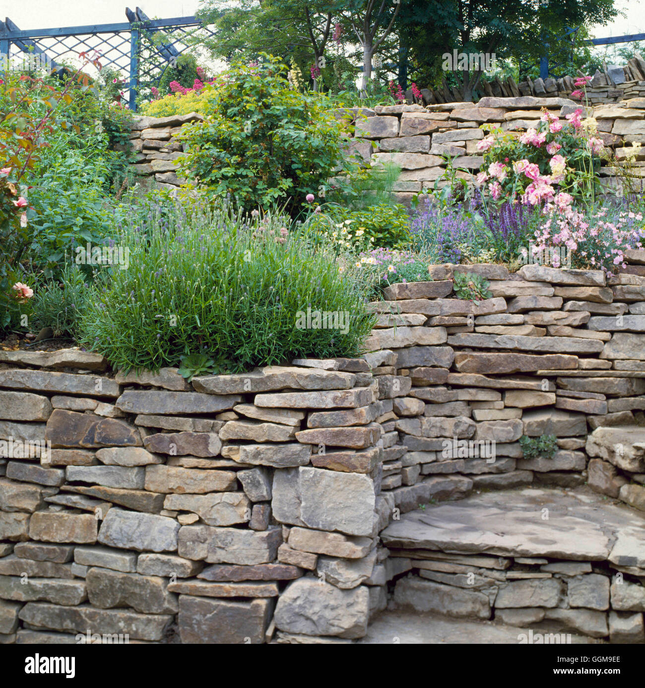 Wall- - Dry stone wall and steps WAL023410 Stock Photo - Alamy