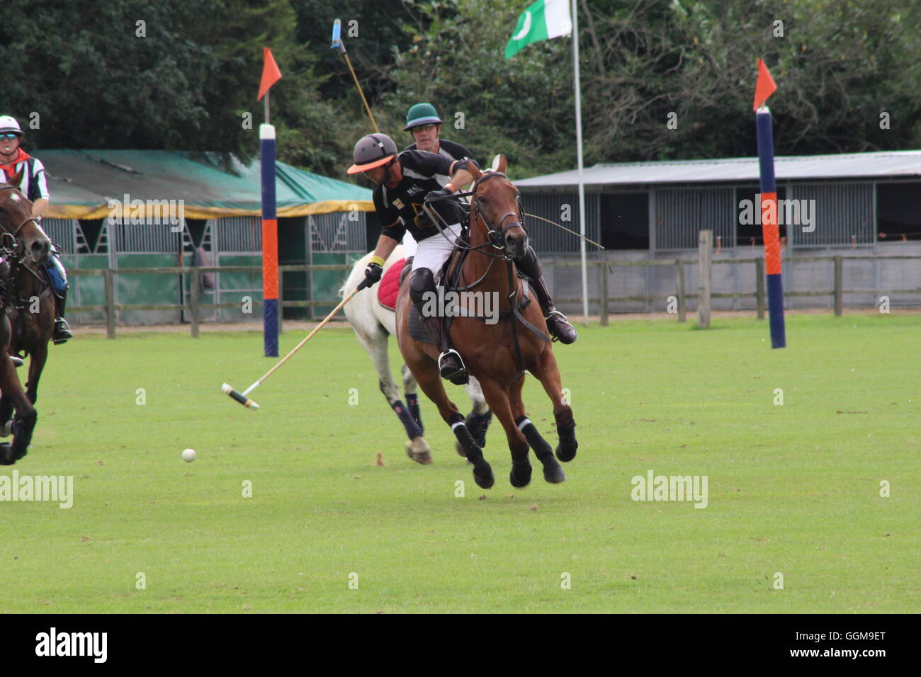 The Royal Windsor Race Course - Pictures Of Horses Stock Photo - Alamy