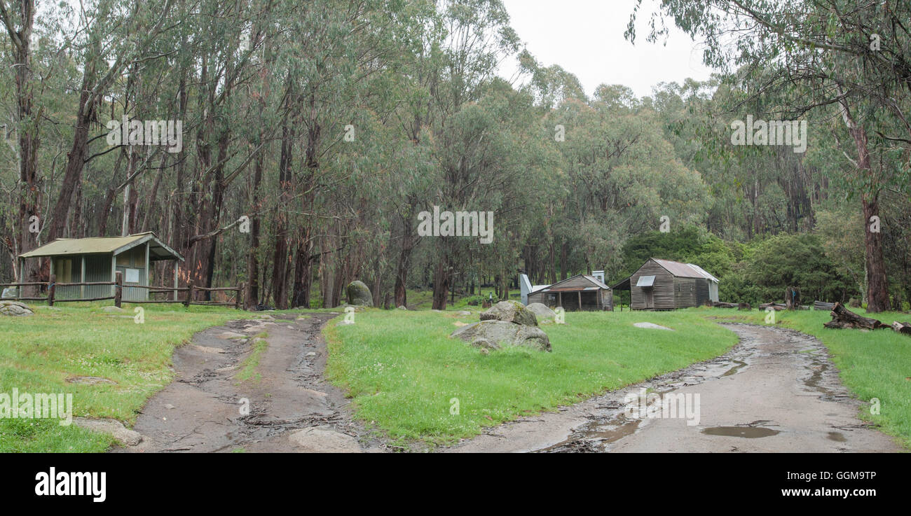 Victorian high country flora hi-res stock photography and images - Alamy