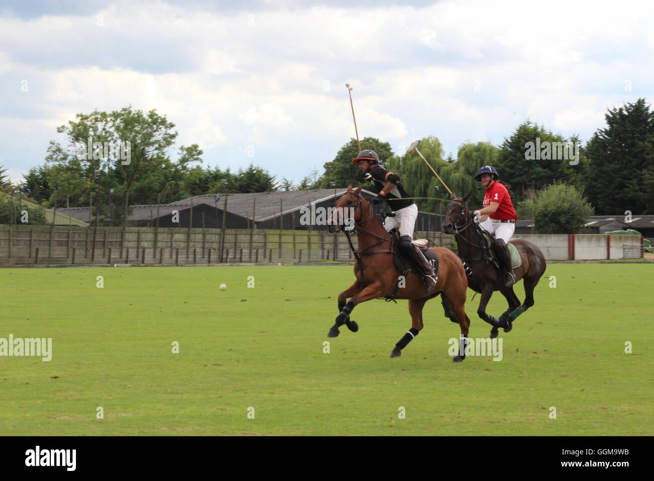 The Royal Windsor Race Course - Pictures Of Horses Stock Photo - Alamy