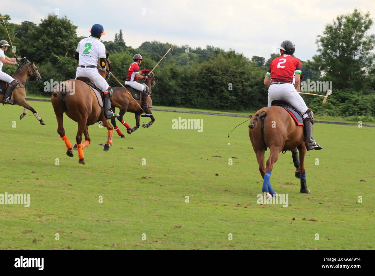 The Royal Windsor Race Course - Pictures Of Horses Stock Photo - Alamy