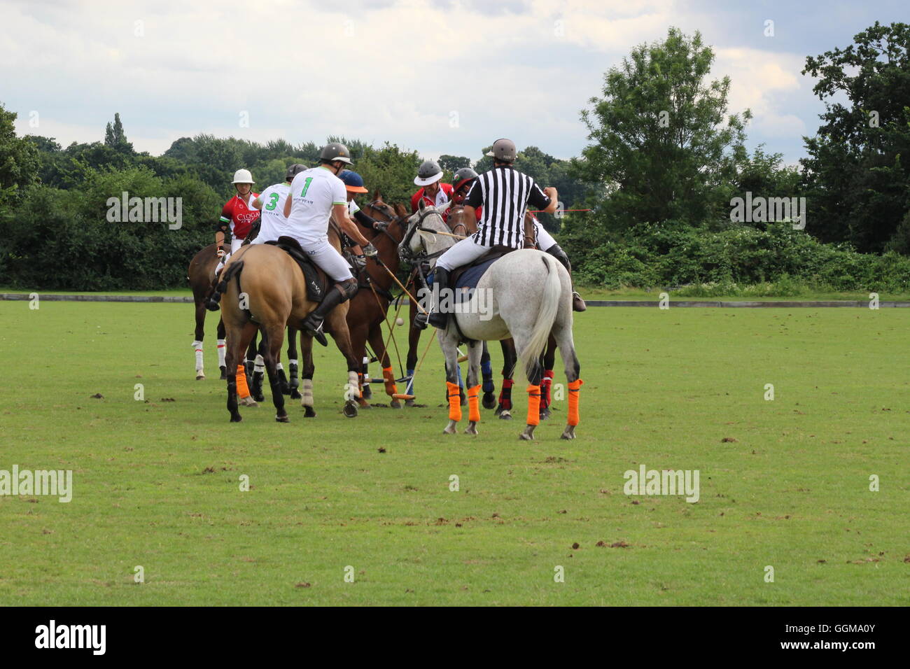 The Royal Windsor Race Course - Pictures Of Horses Stock Photo - Alamy