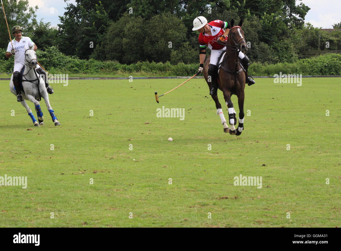 The Royal Windsor Race Course - Pictures Of Horses Stock Photo - Alamy