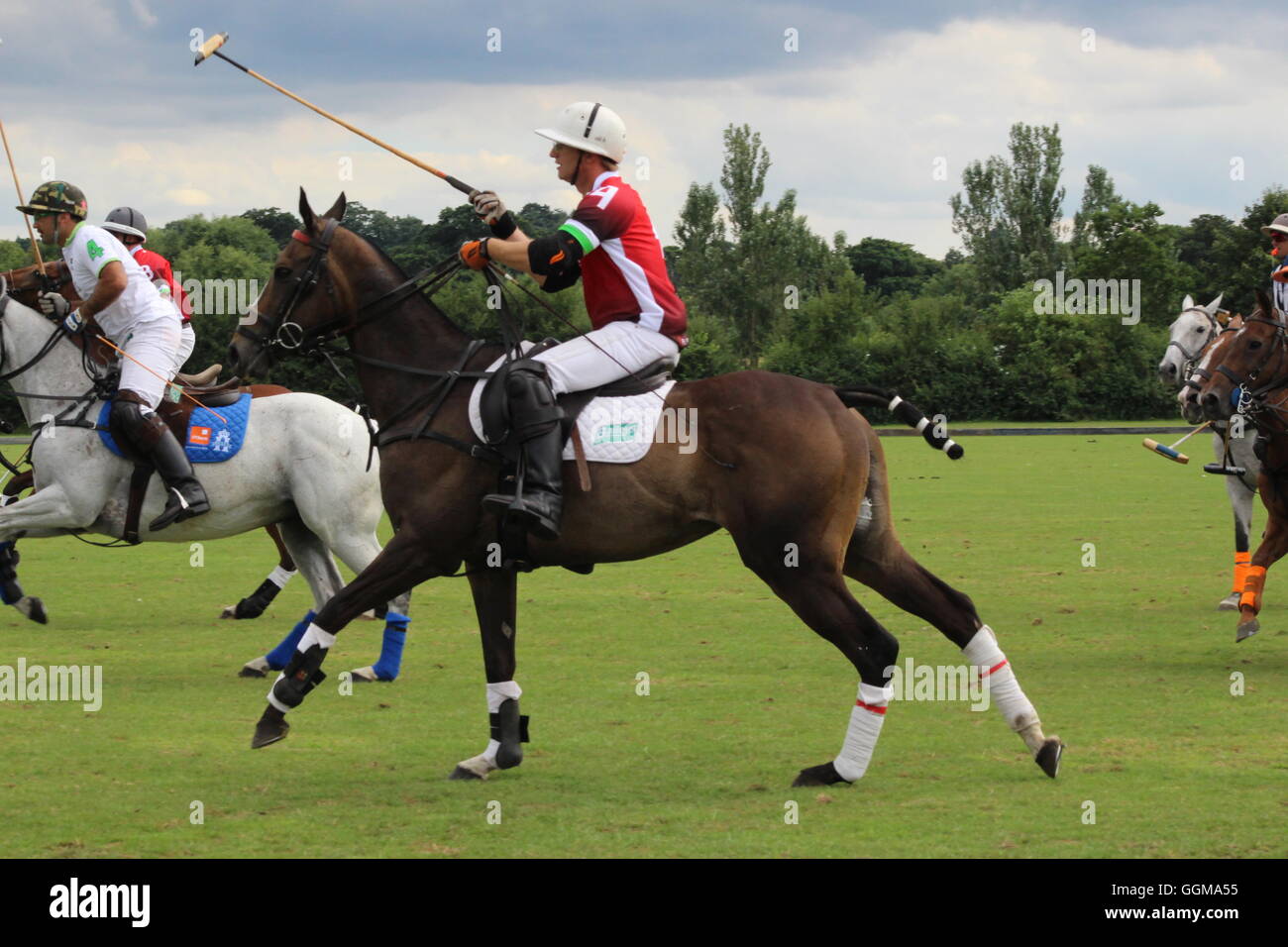 The Royal Windsor Race Course - Pictures Of Horses Stock Photo - Alamy