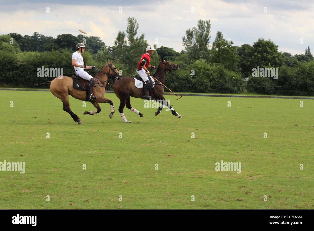 The Royal Windsor Race Course - Pictures Of Horses Stock Photo - Alamy