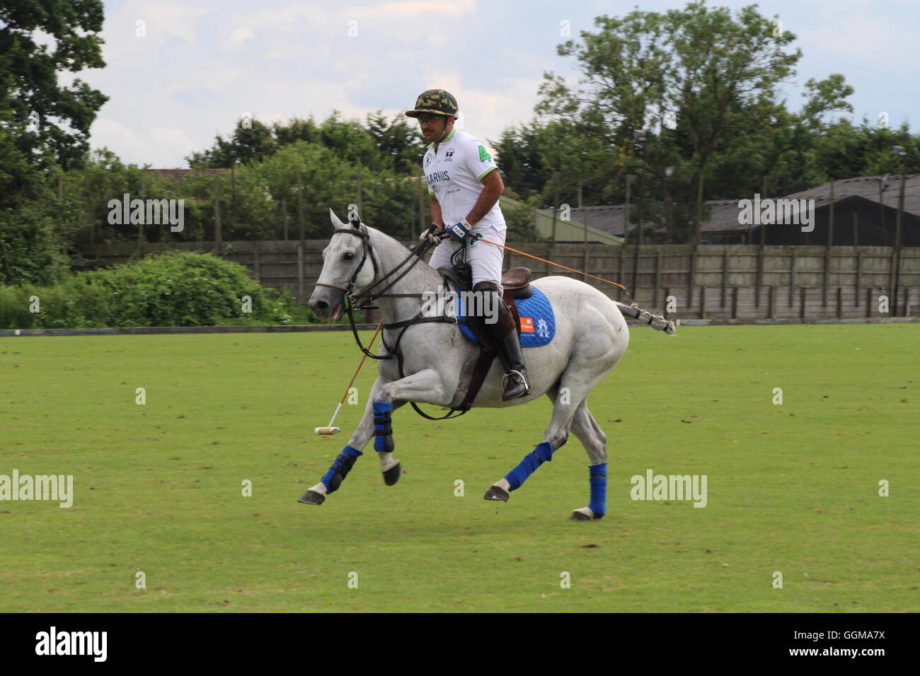 The Royal Windsor Race Course - Pictures Of Horses Stock Photo - Alamy