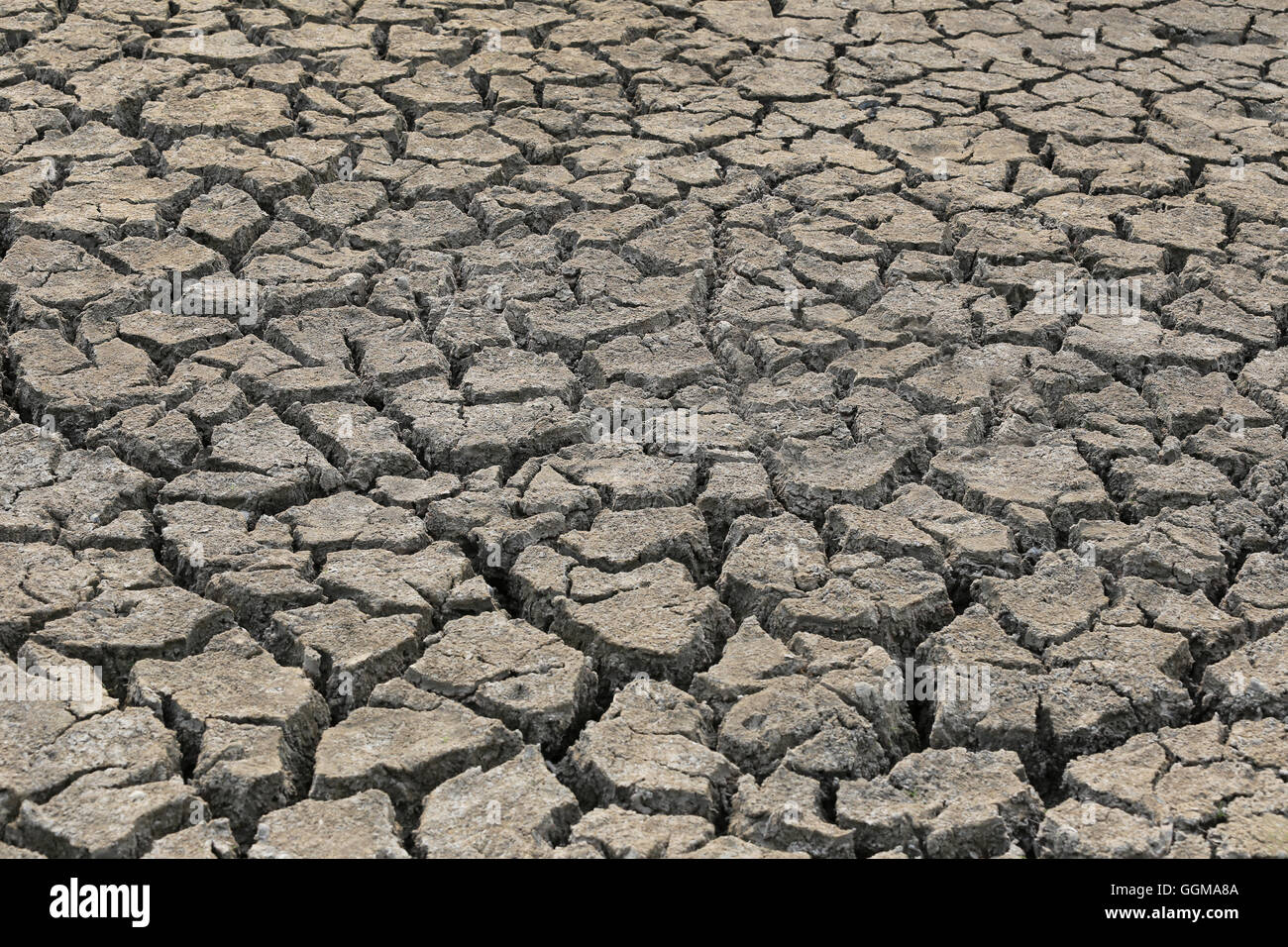 Cracked earth and dry soil texture for the design nature background ...