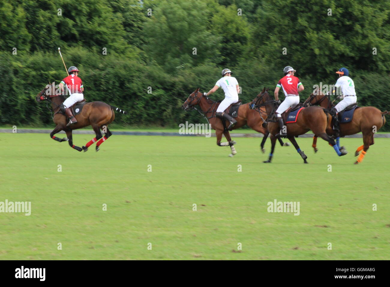The Royal Windsor Race Course - Pictures Of Horses Stock Photo - Alamy
