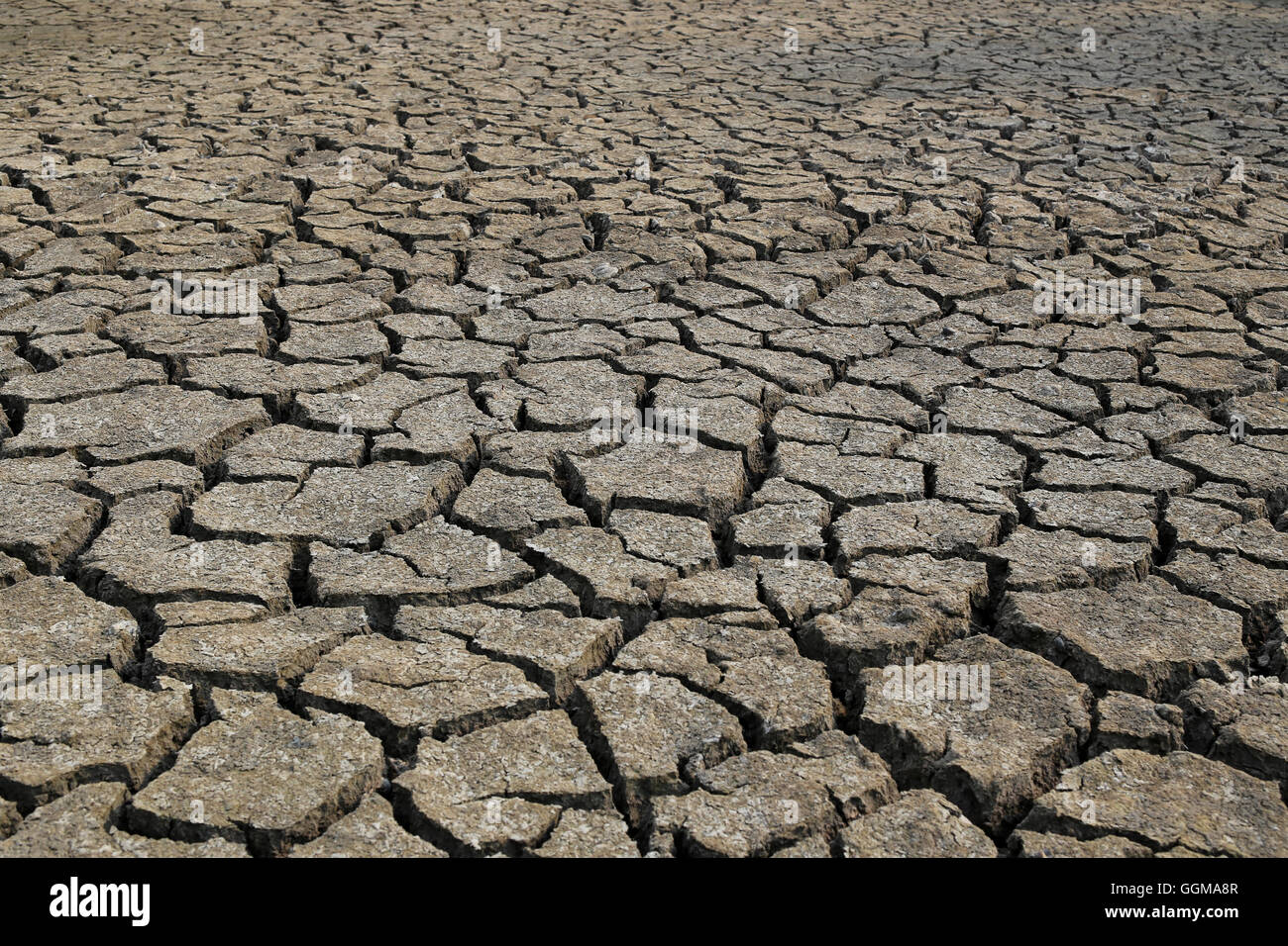 Cracked earth and dry soil texture for the design nature background ...