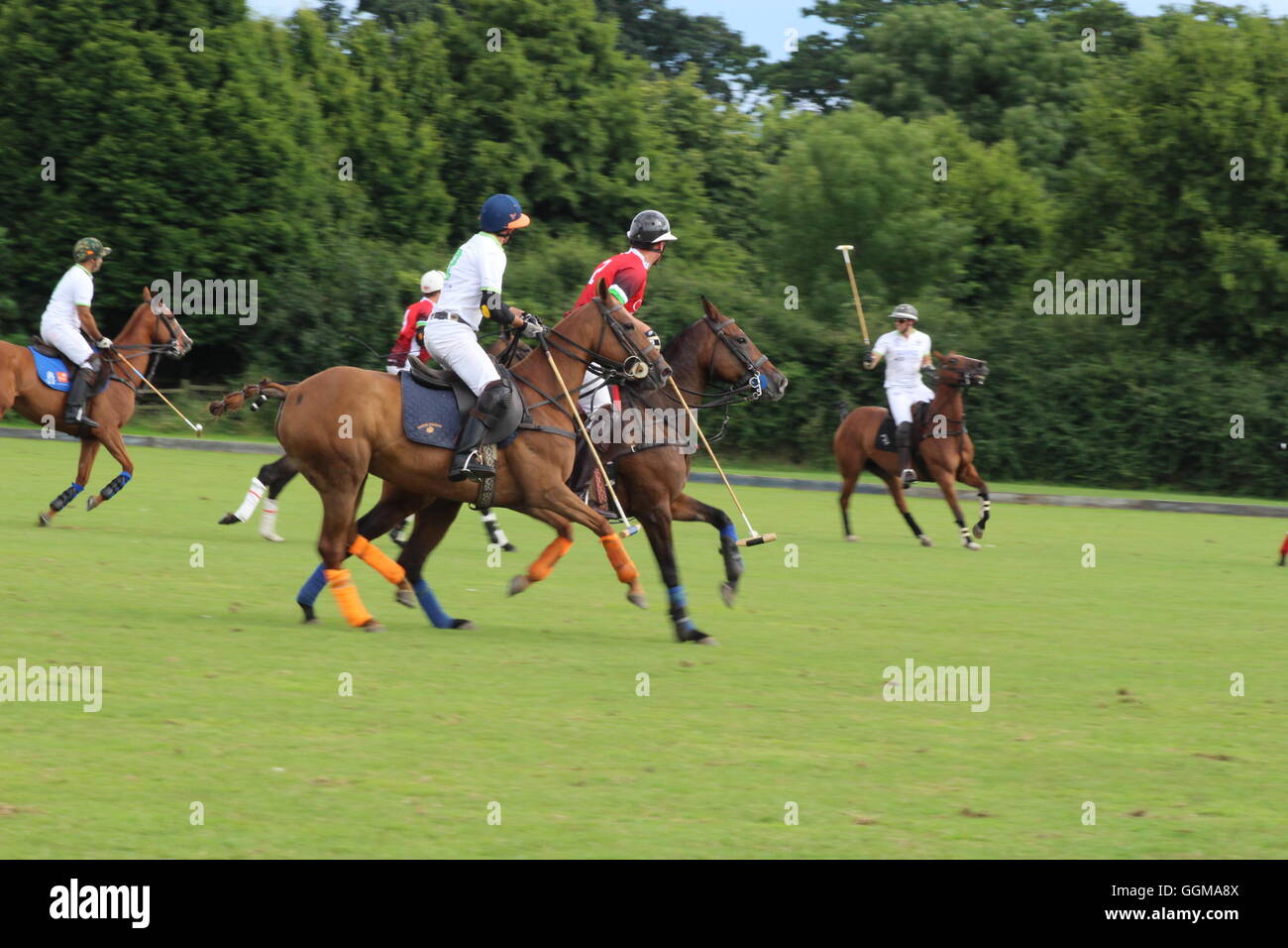 The Royal Windsor Race Course - Pictures Of Horses Stock Photo - Alamy