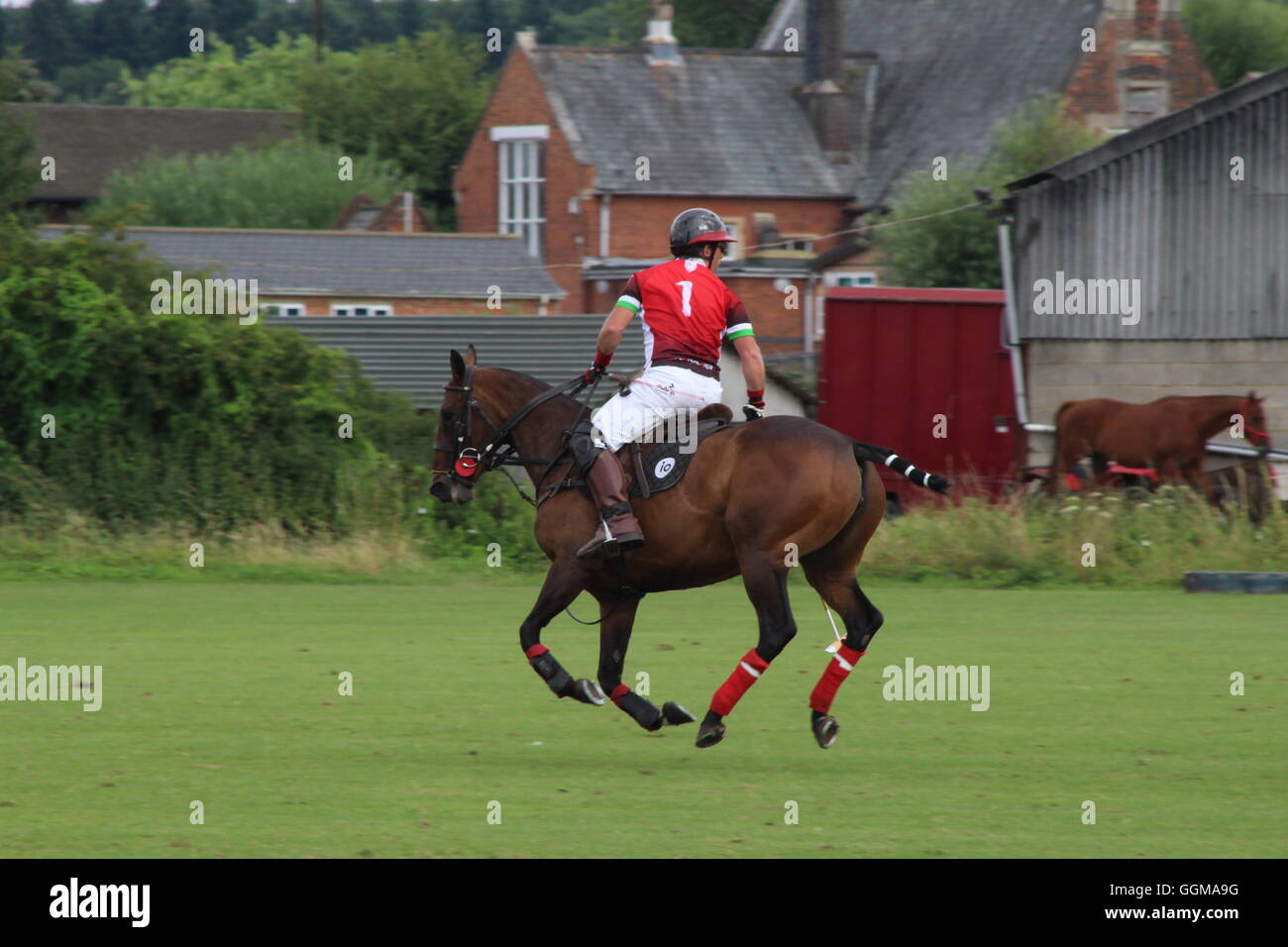 The Royal Windsor Race Course - Pictures Of Horses Stock Photo - Alamy