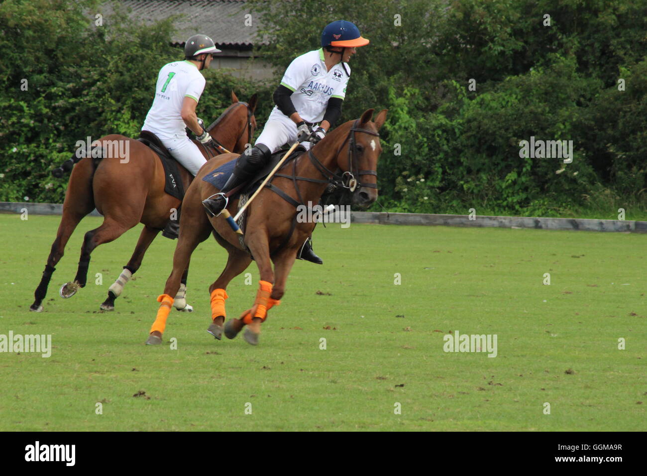 The Royal Windsor Race Course - Pictures Of Horses Stock Photo - Alamy