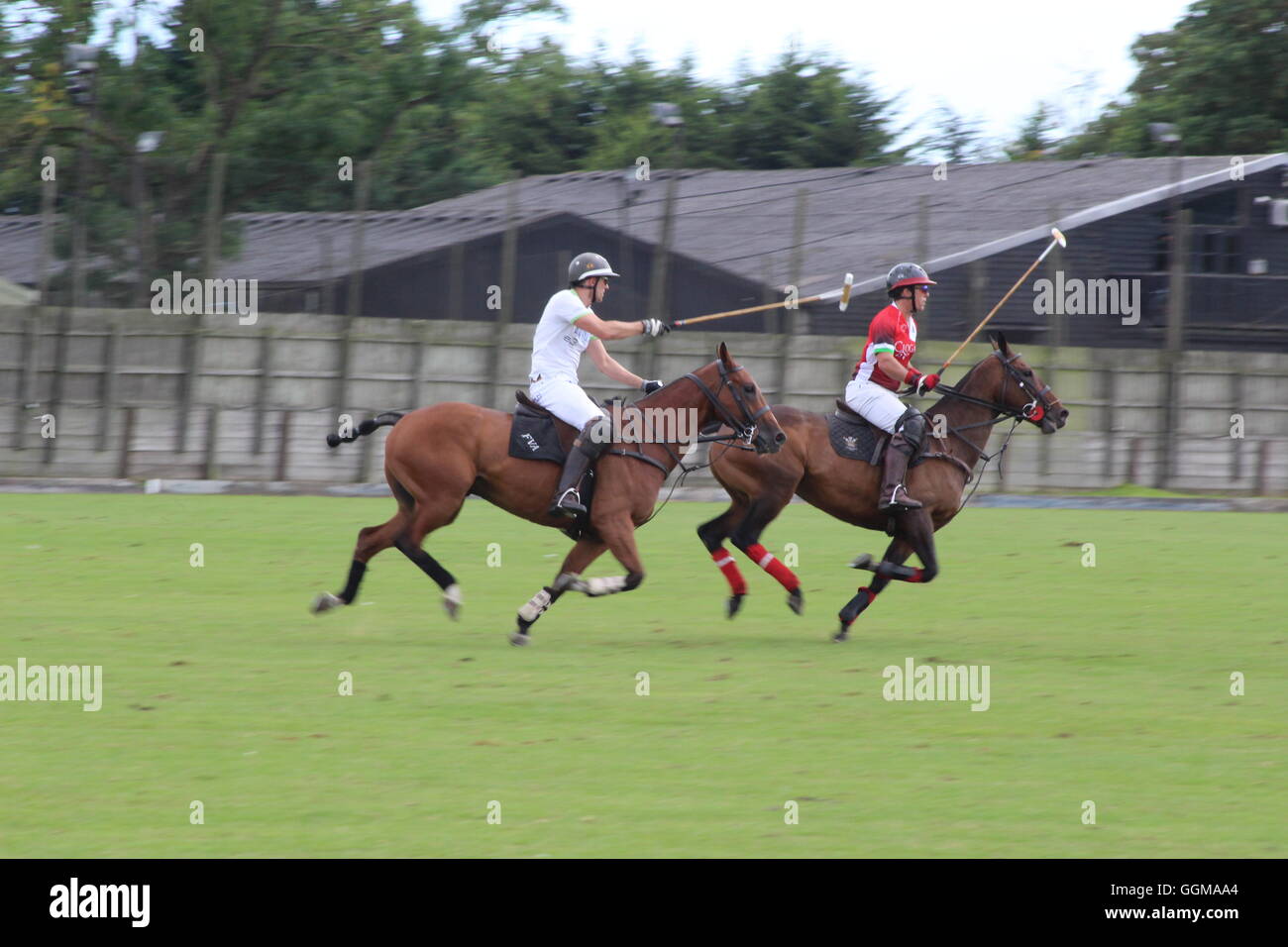 The Royal Windsor Race Course - Pictures Of Horses Stock Photo - Alamy
