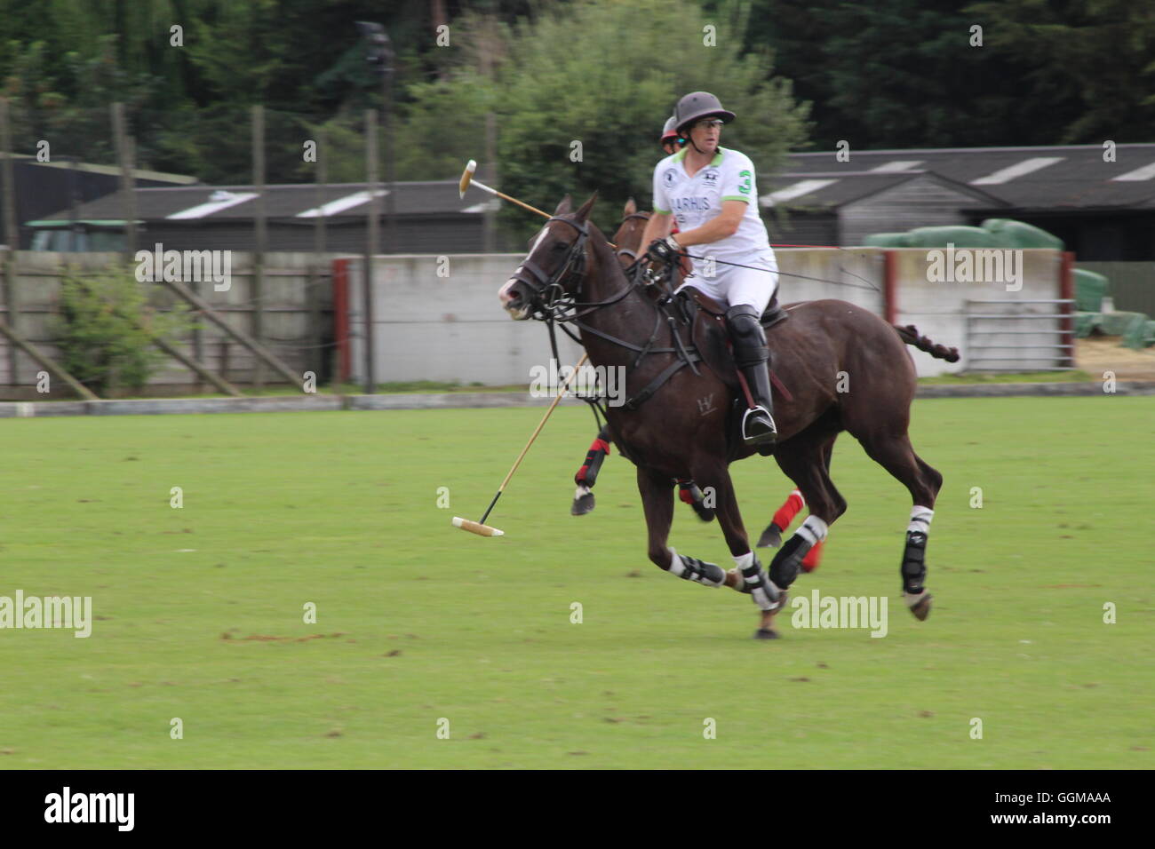 The Royal Windsor Race Course - Pictures Of Horses Stock Photo - Alamy