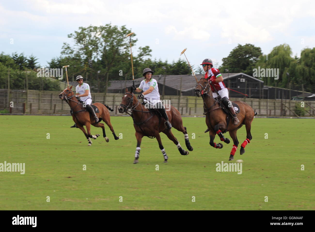 The Royal Windsor Race Course - Pictures Of Horses Stock Photo - Alamy