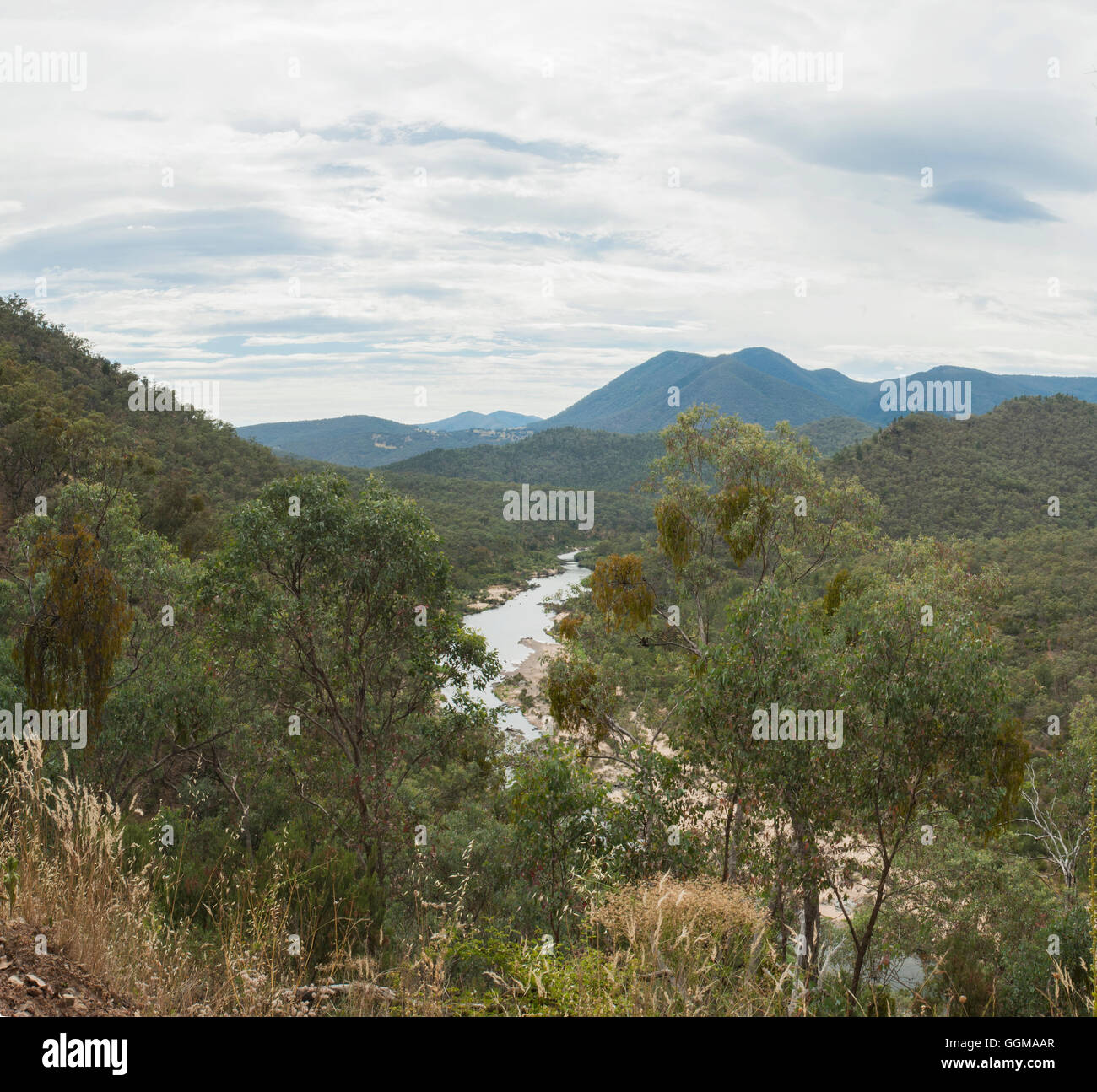Snowy River, Snowy River NP, Victoria Stock Photo - Alamy
