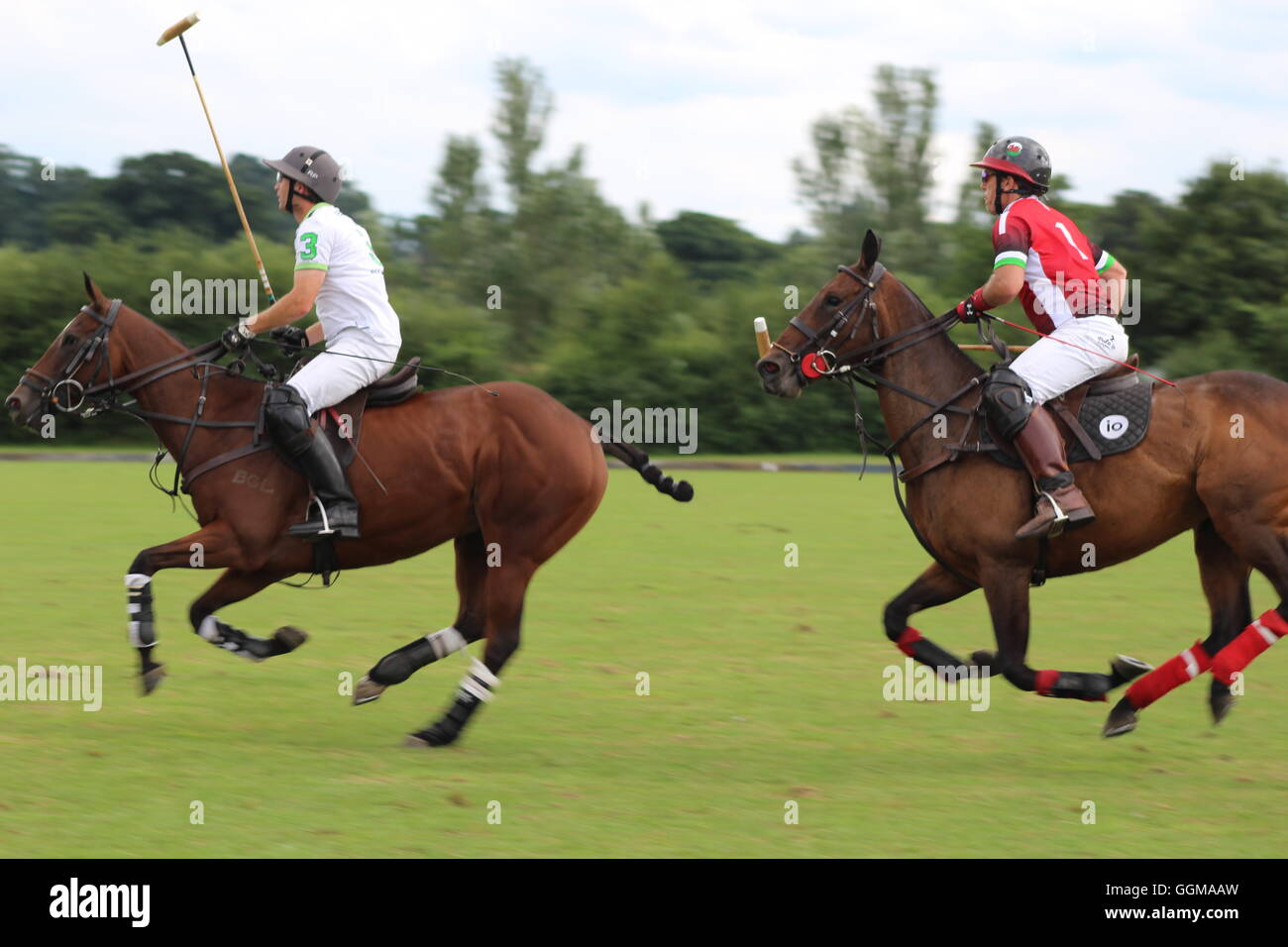 The Royal Windsor Race Course - Pictures Of Horses Stock Photo - Alamy