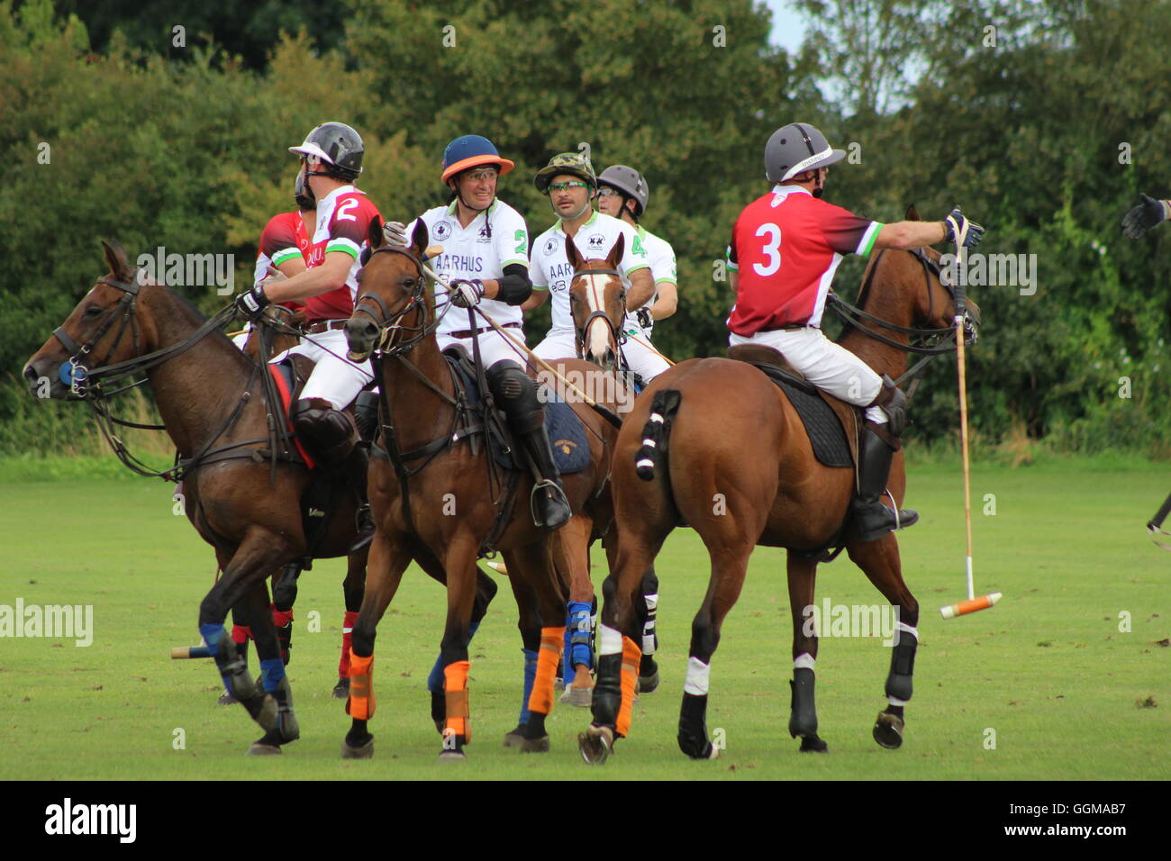 The Royal Windsor Race Course - Pictures Of Horses Stock Photo - Alamy