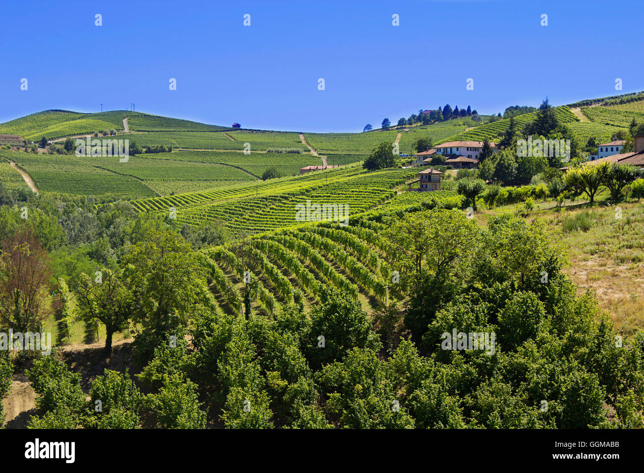 Landscape view of the well-known town of Barolo among green hills and ...