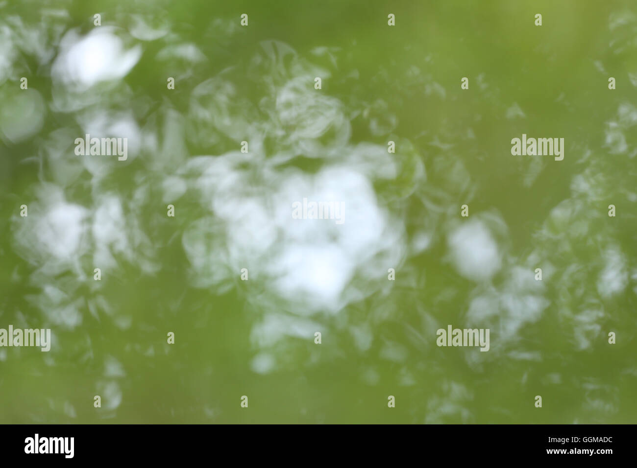 Abstract background of green out of focus backdrop for design Stock ...