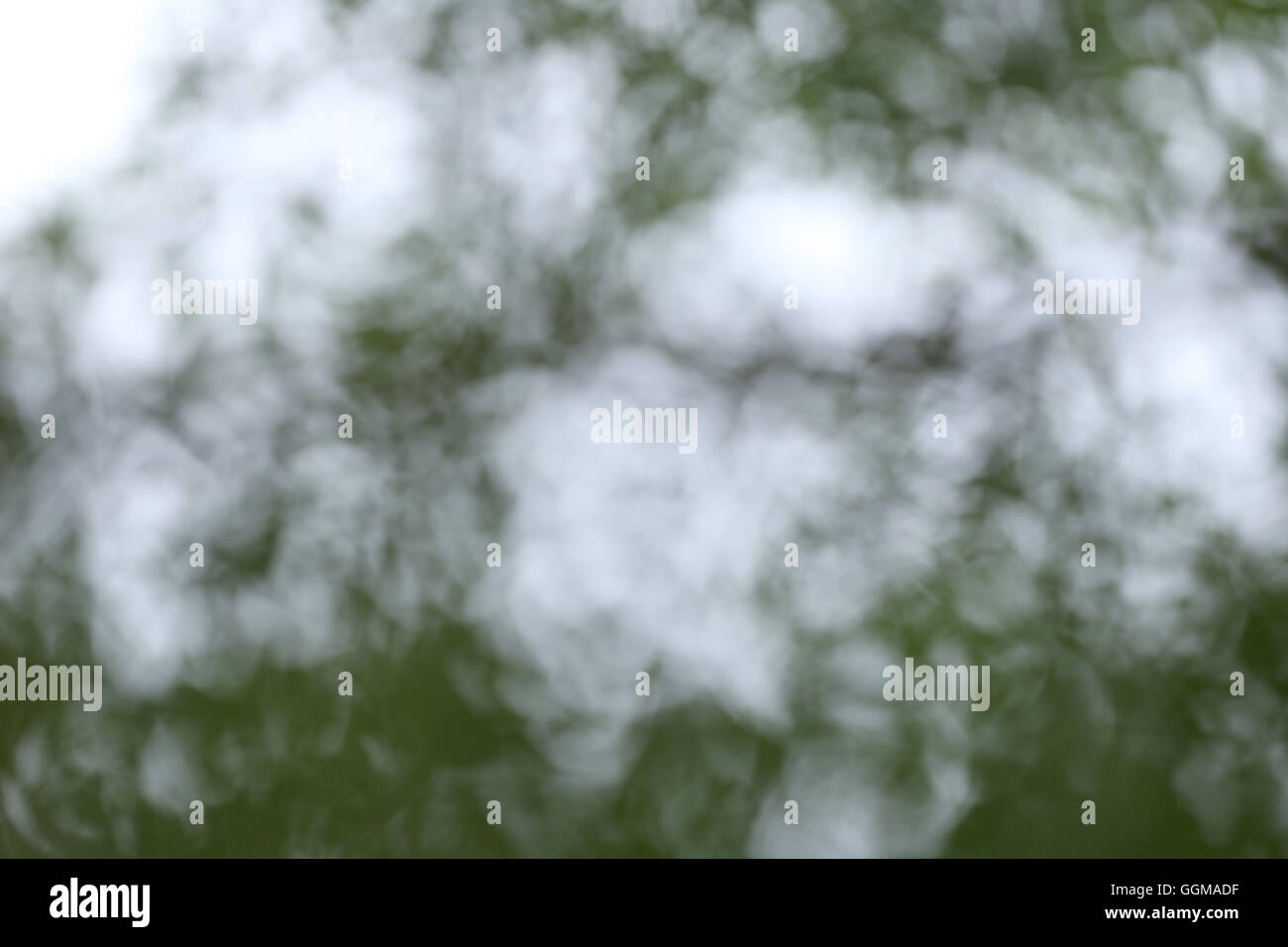Abstract background of green out of focus backdrop for design Stock ...