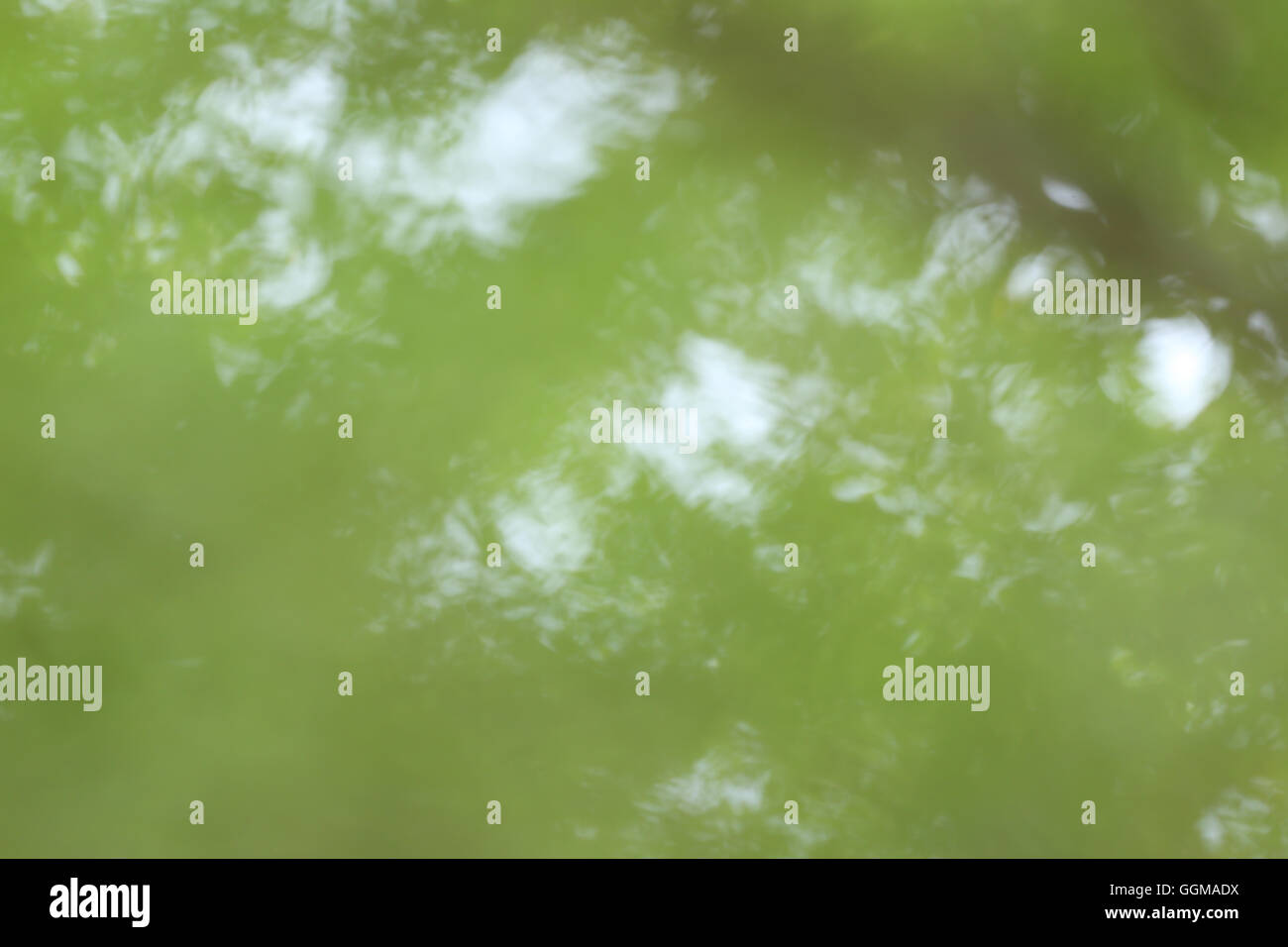 Abstract background of green out of focus backdrop for design Stock ...