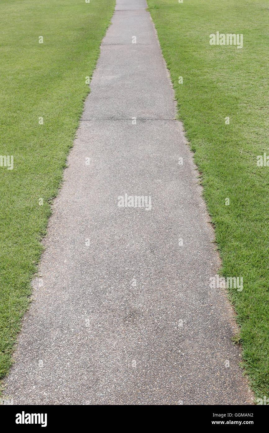 A passage in the backyard with green grass for garden design ideas ...