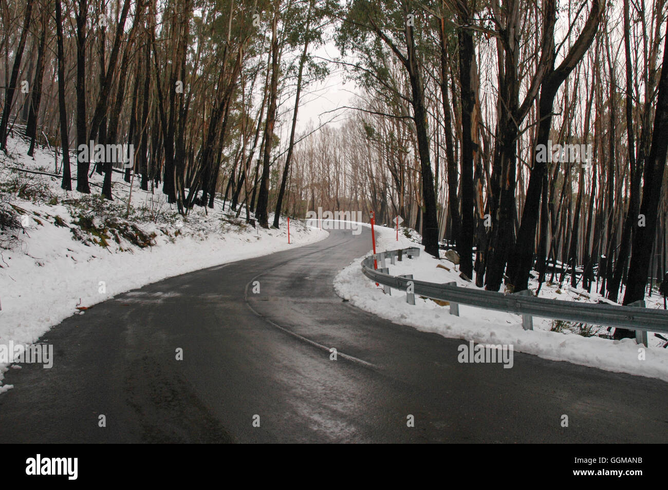 Alpine way nsw hi-res stock photography and images - Alamy