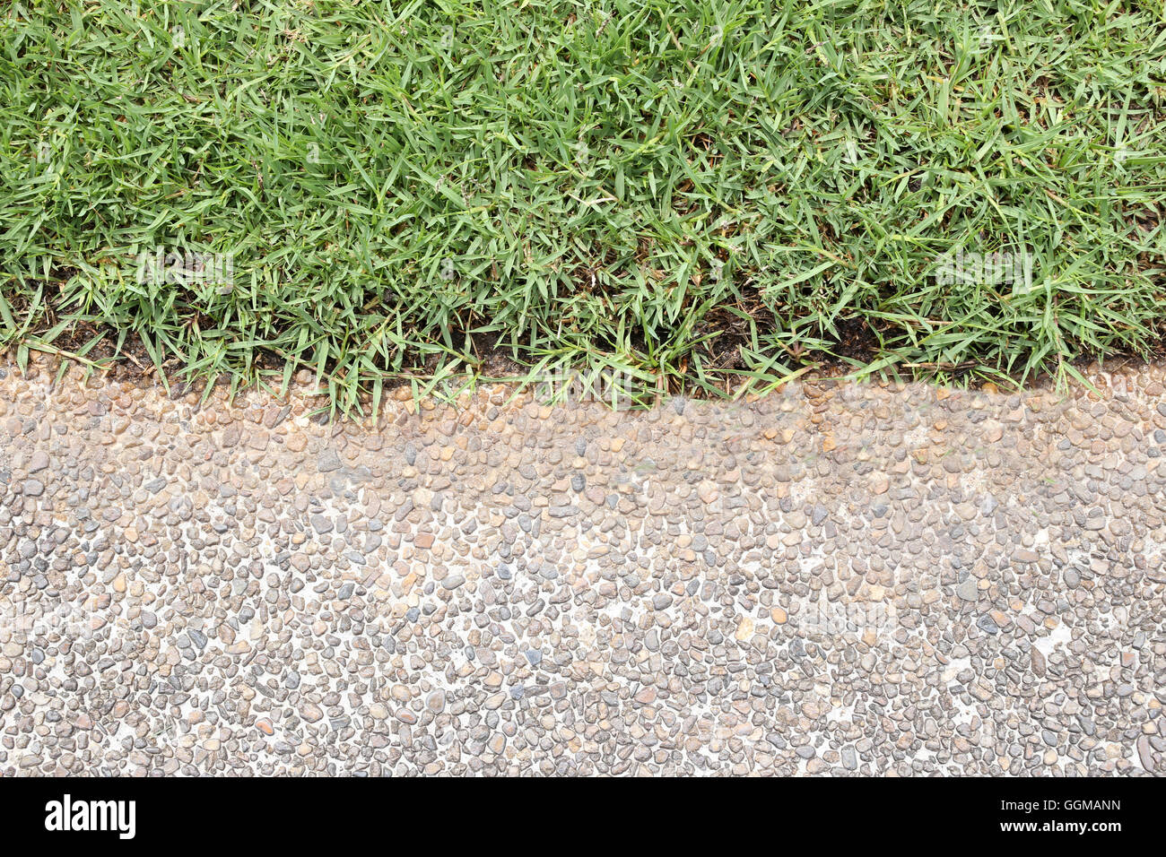 A passage in the backyard with green grass for garden design ideas ...