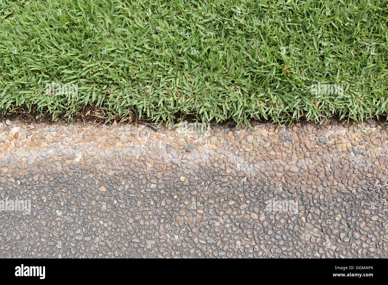A passage in the backyard with green grass for garden design ideas ...