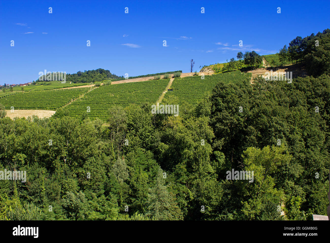 Landscape view of the well-known town of Barolo among green hills and ...