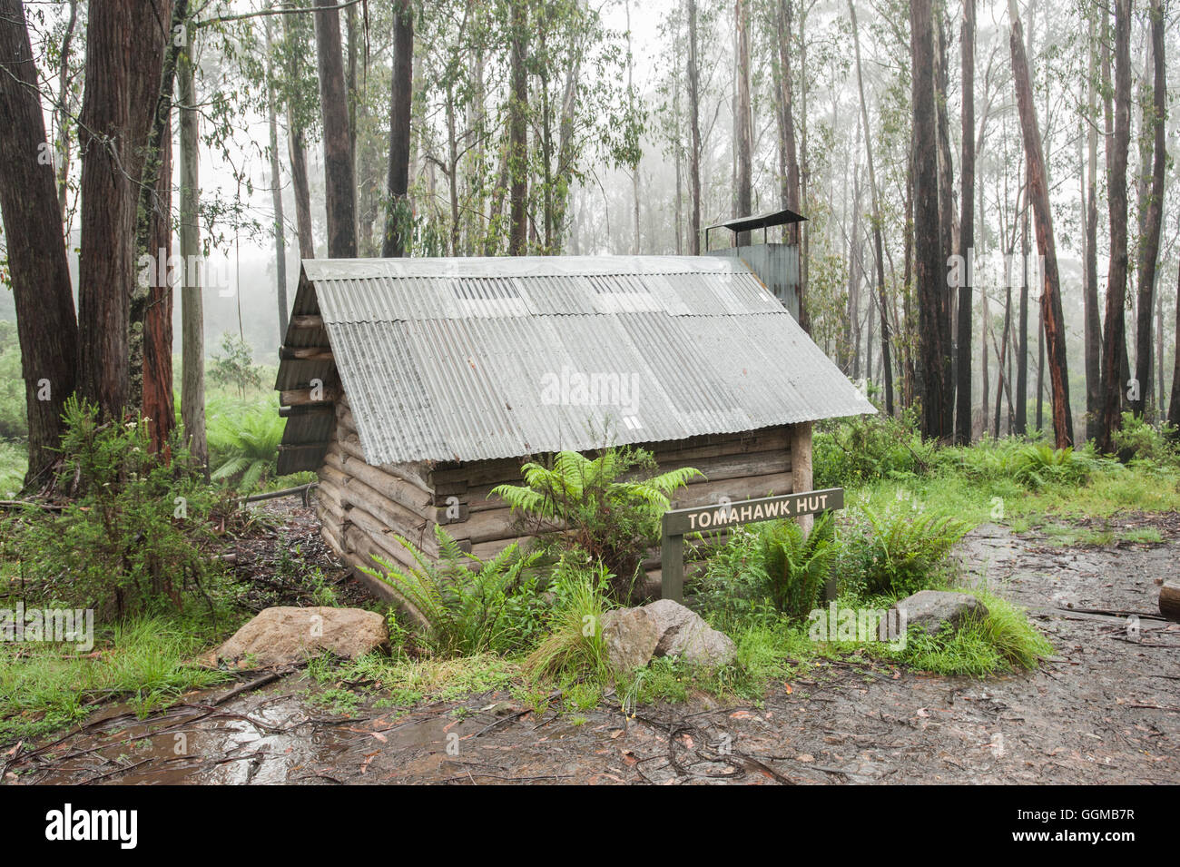 Tomahawk Hut, Alpine National Park, Victoria Stock Photo - Alamy